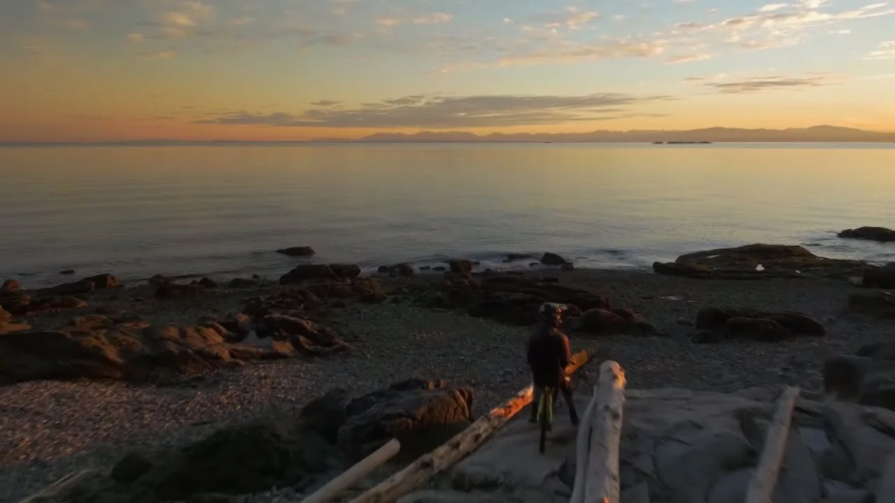 Series — Anthill Films