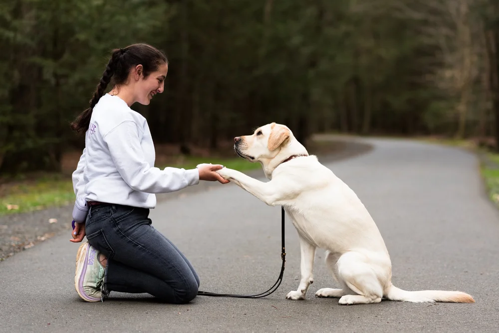 Centre Stage Dog Training | Service Dogs | Therapy Dogs | Puppy Training
