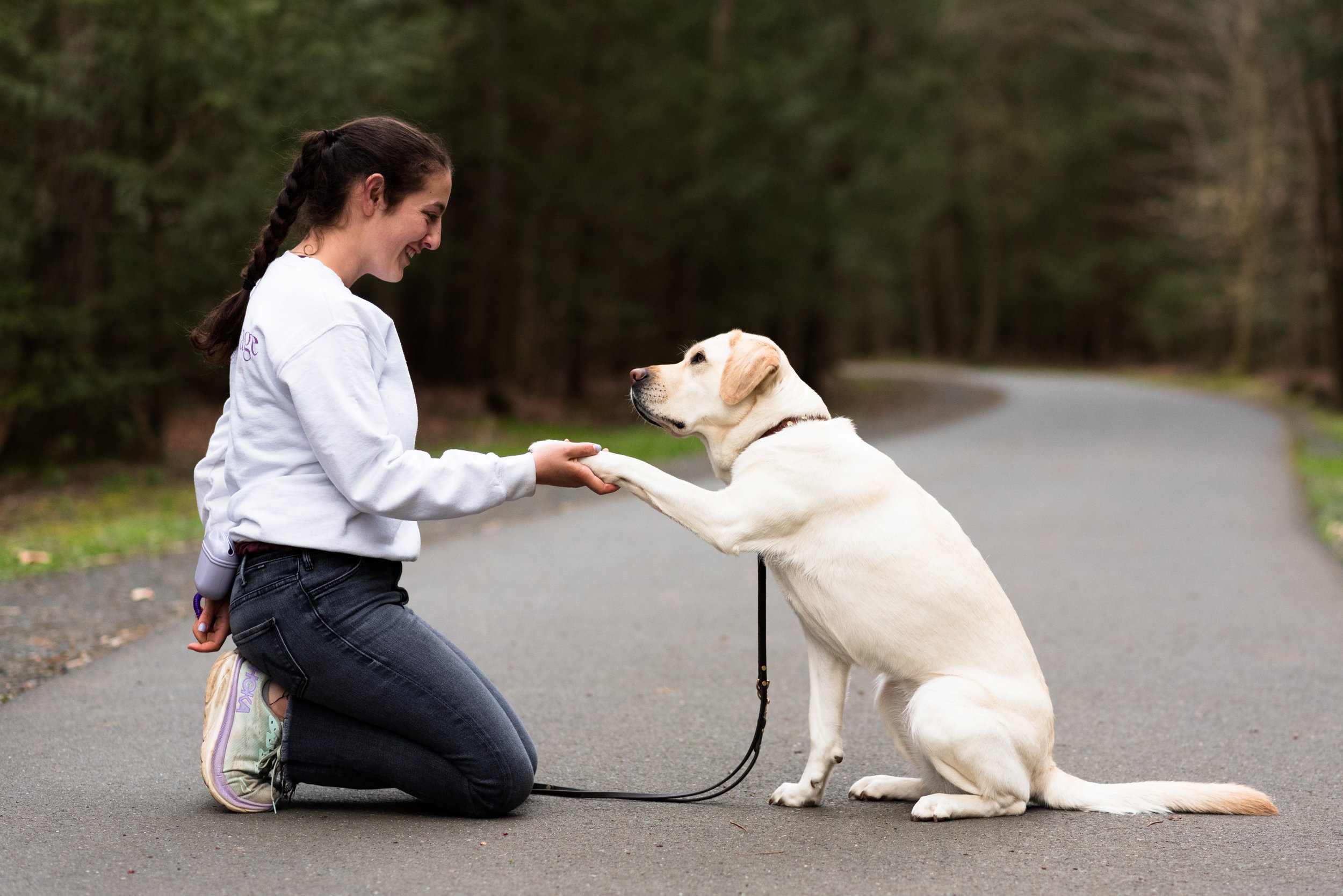 Centre Stage Dog Training | Service Dogs | Therapy Dogs | Puppy Training