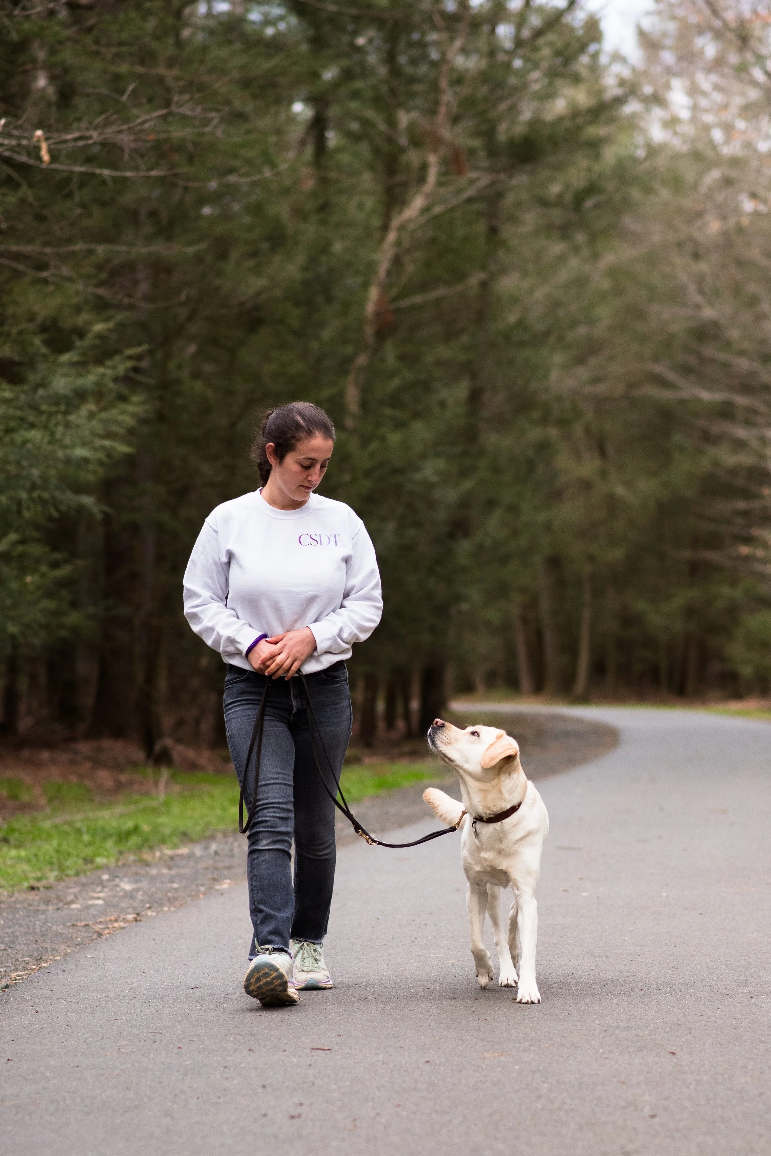 Centre Stage Dog Training | Service Dogs | Therapy Dogs | Puppy Training