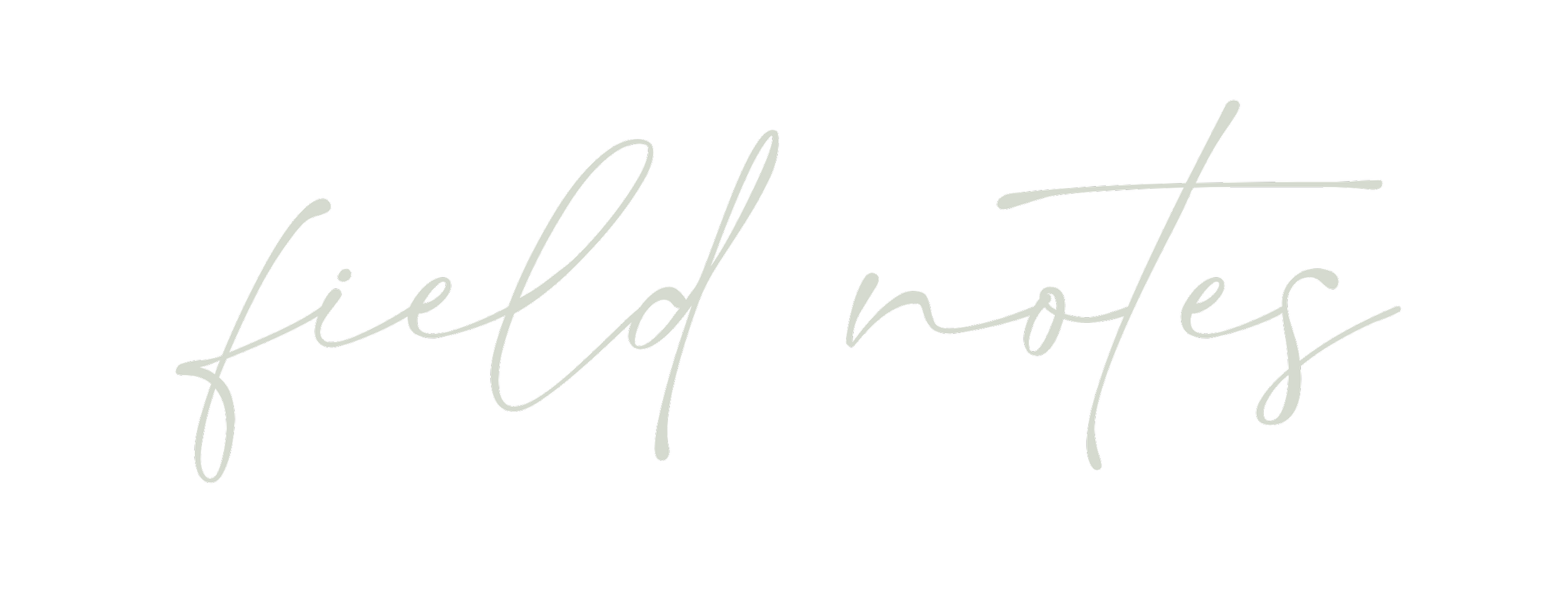 Field Notes