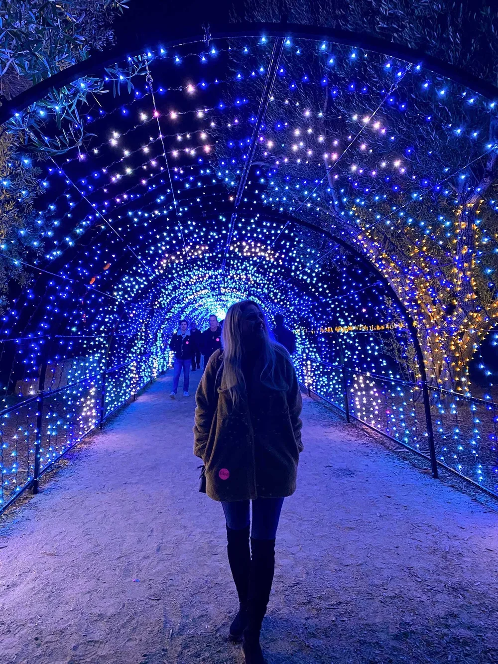 Holidays at Filoli - Bay Area Christmas Lights