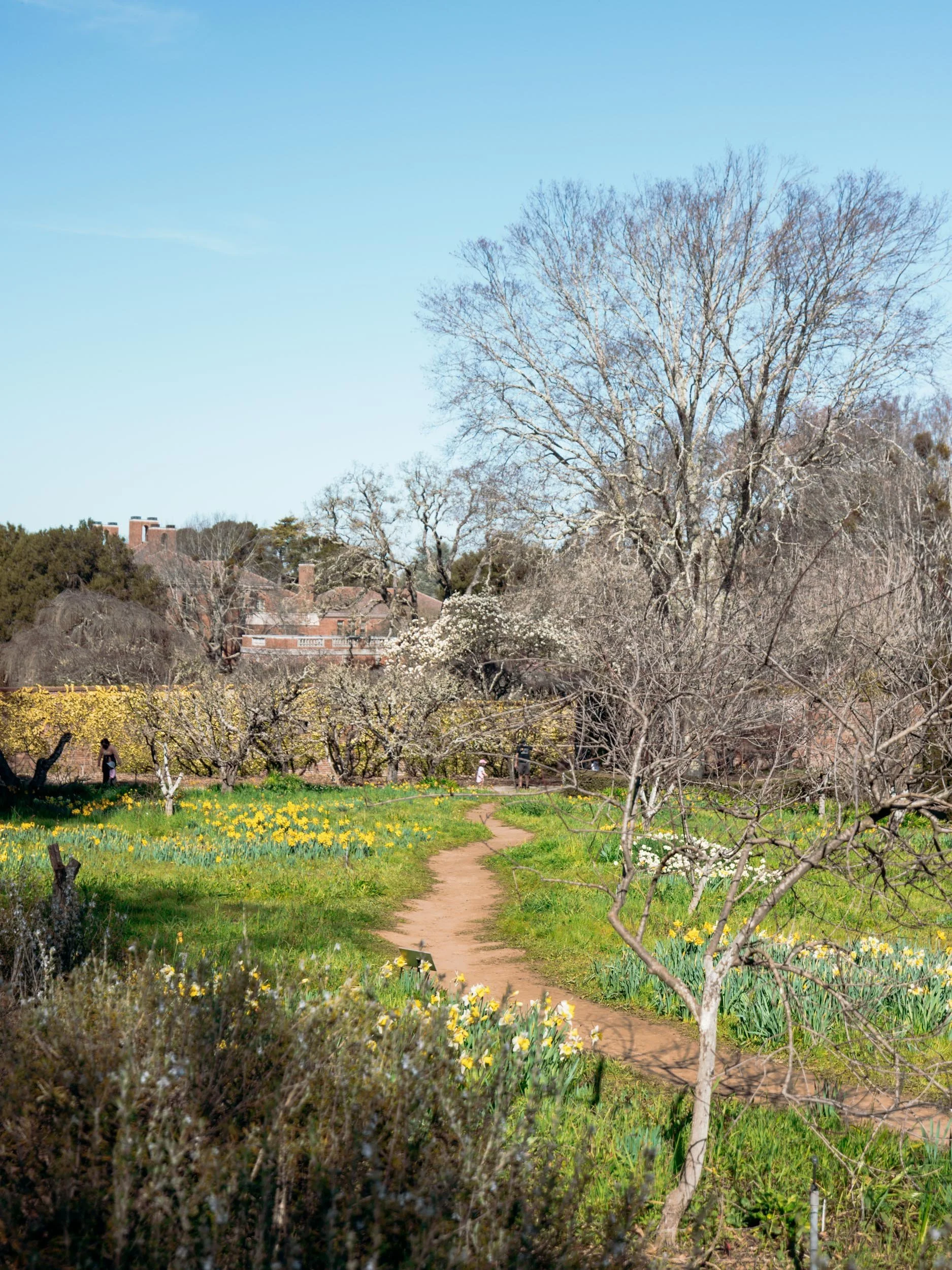 Where to Find Spring Flowers in California — Kessler Elsewhere