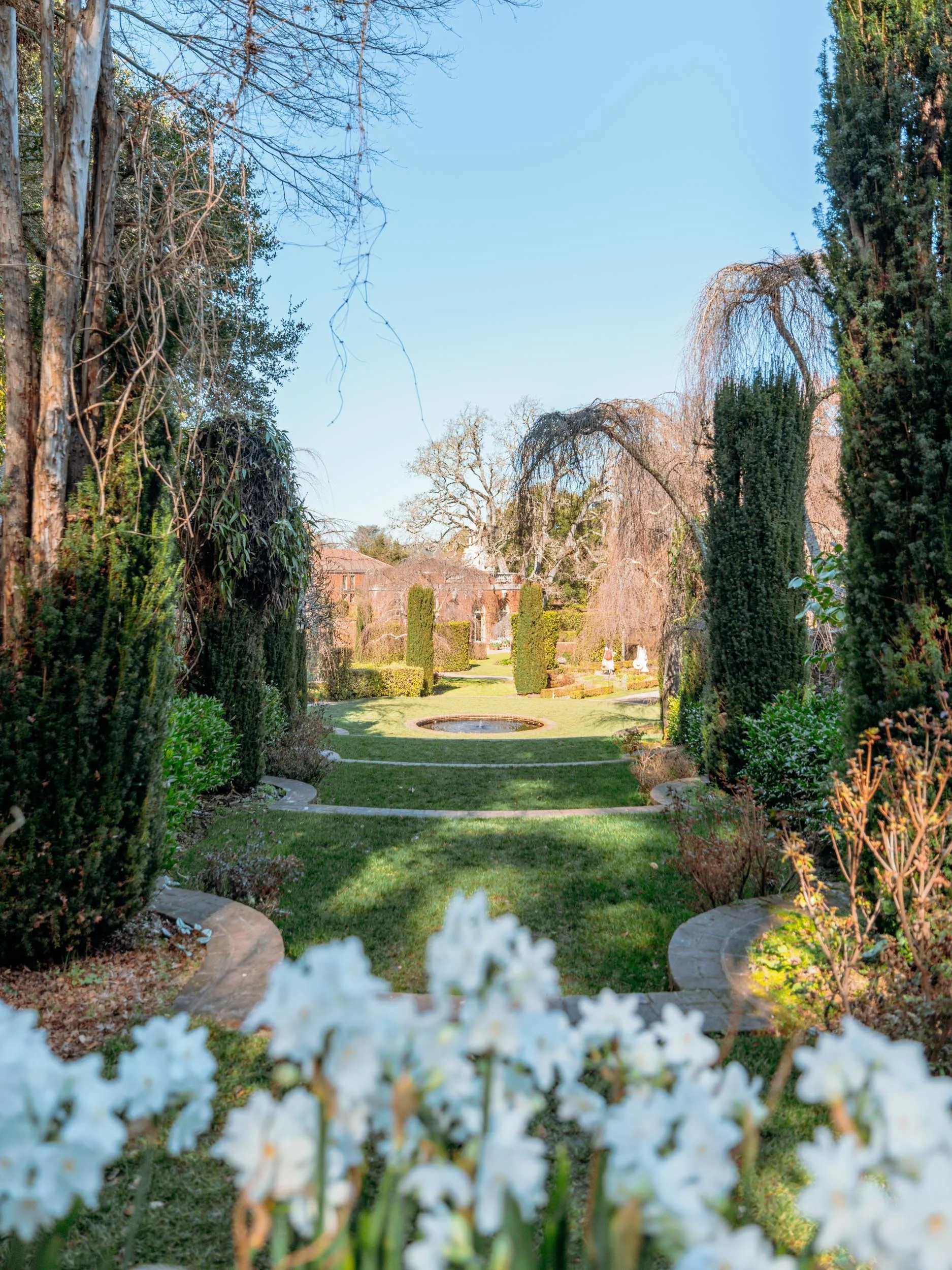 Where to Find Spring Flowers in California — Kessler Elsewhere