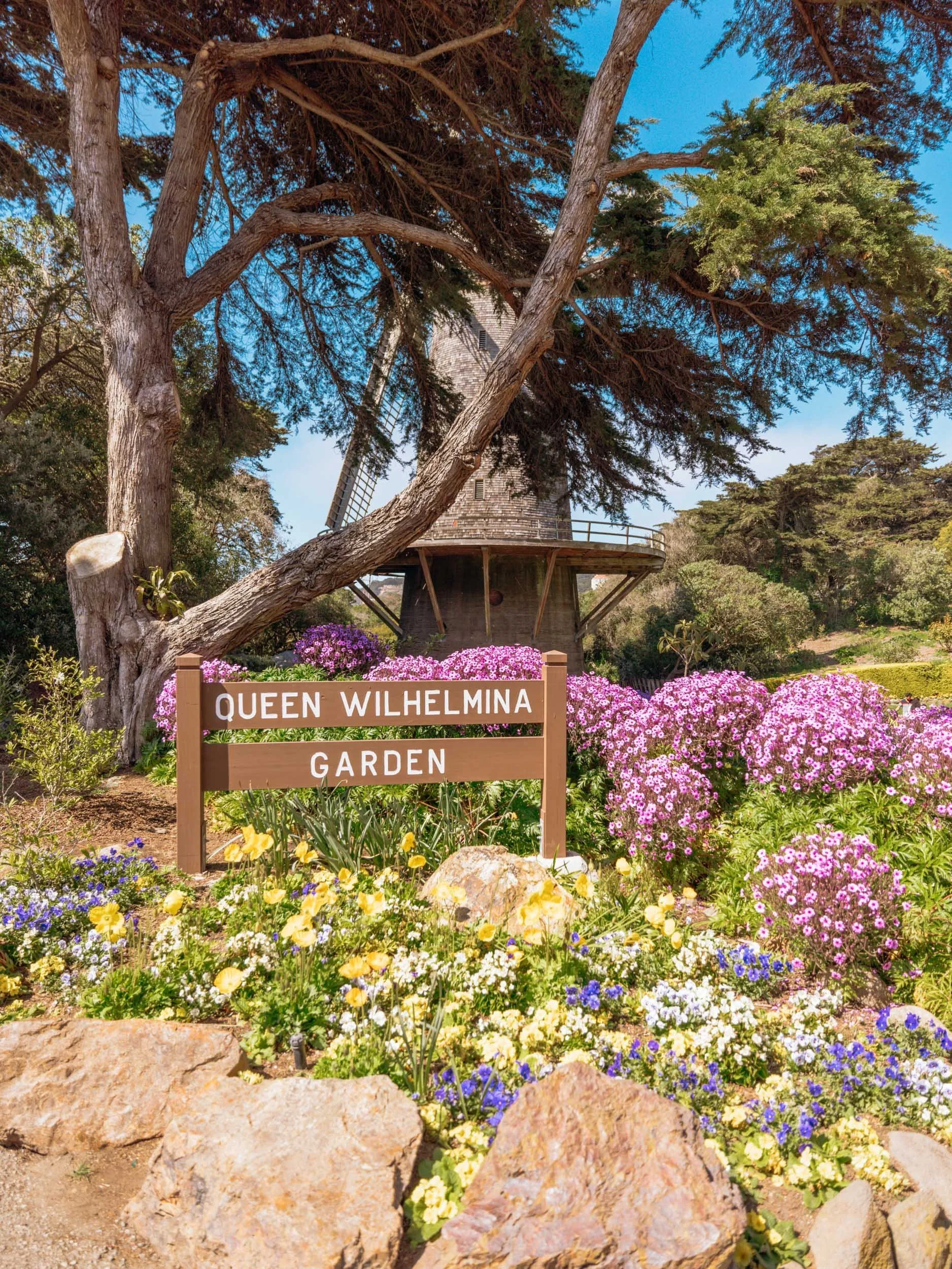 Where to Find Spring Flowers in California — Kessler Elsewhere
