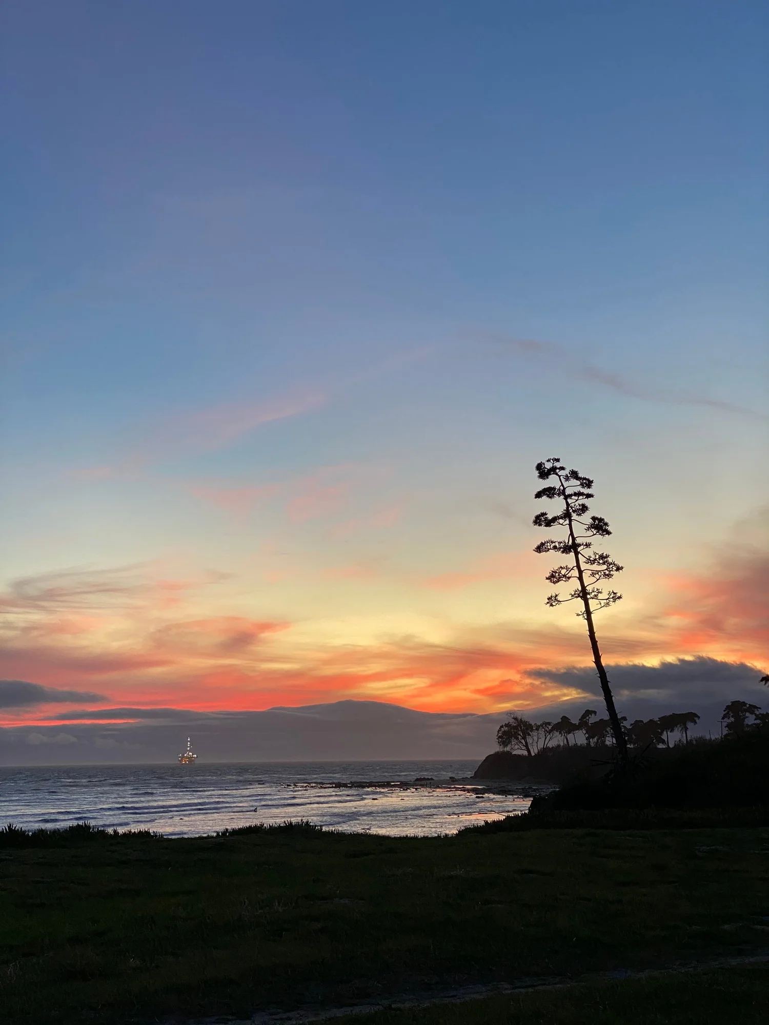 7 Reasons to Visit Santa Barbara in Winter