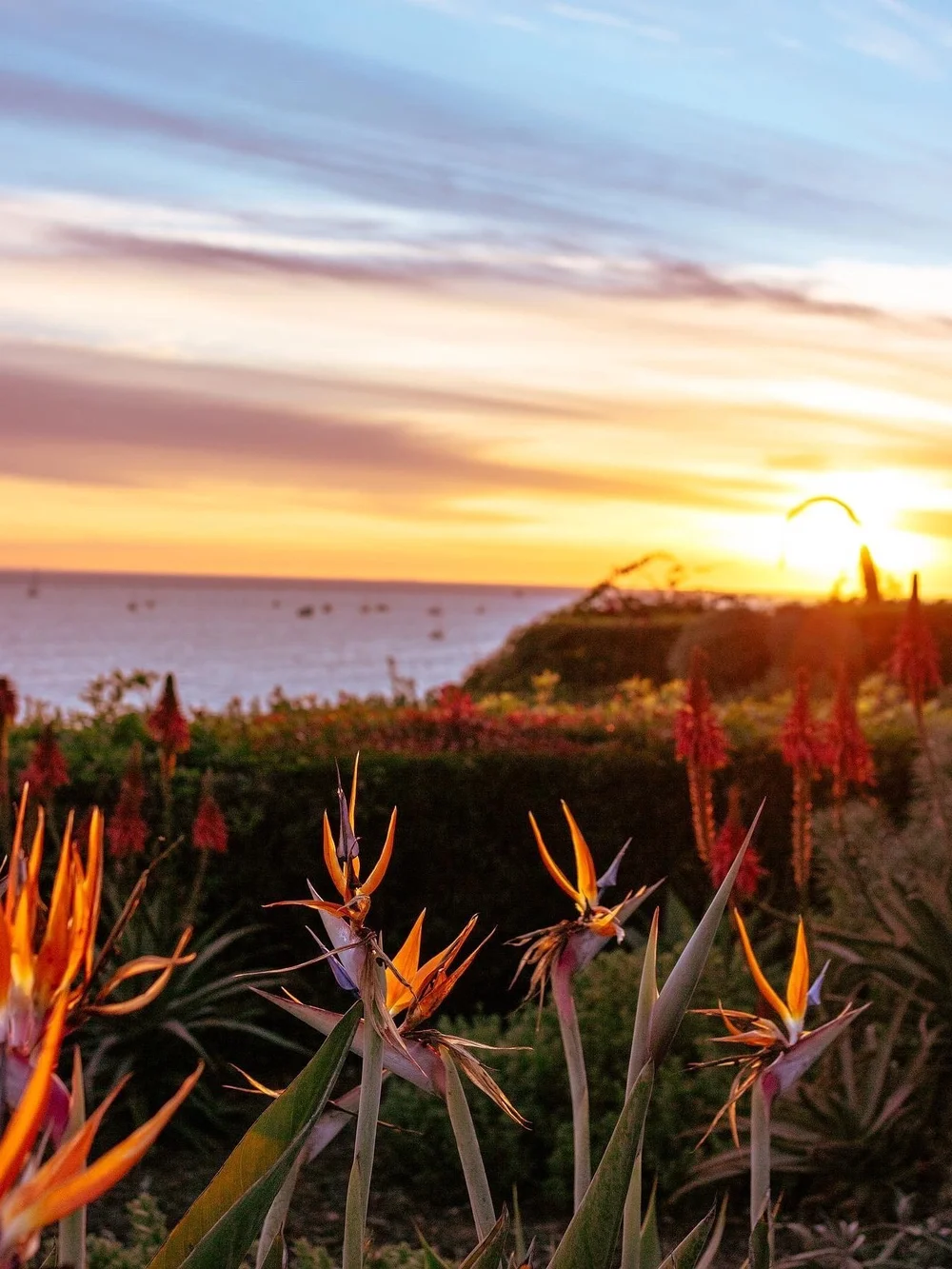 7 Reasons to Visit Santa Barbara in Winter