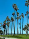 7 Reasons to Visit Santa Barbara in Winter