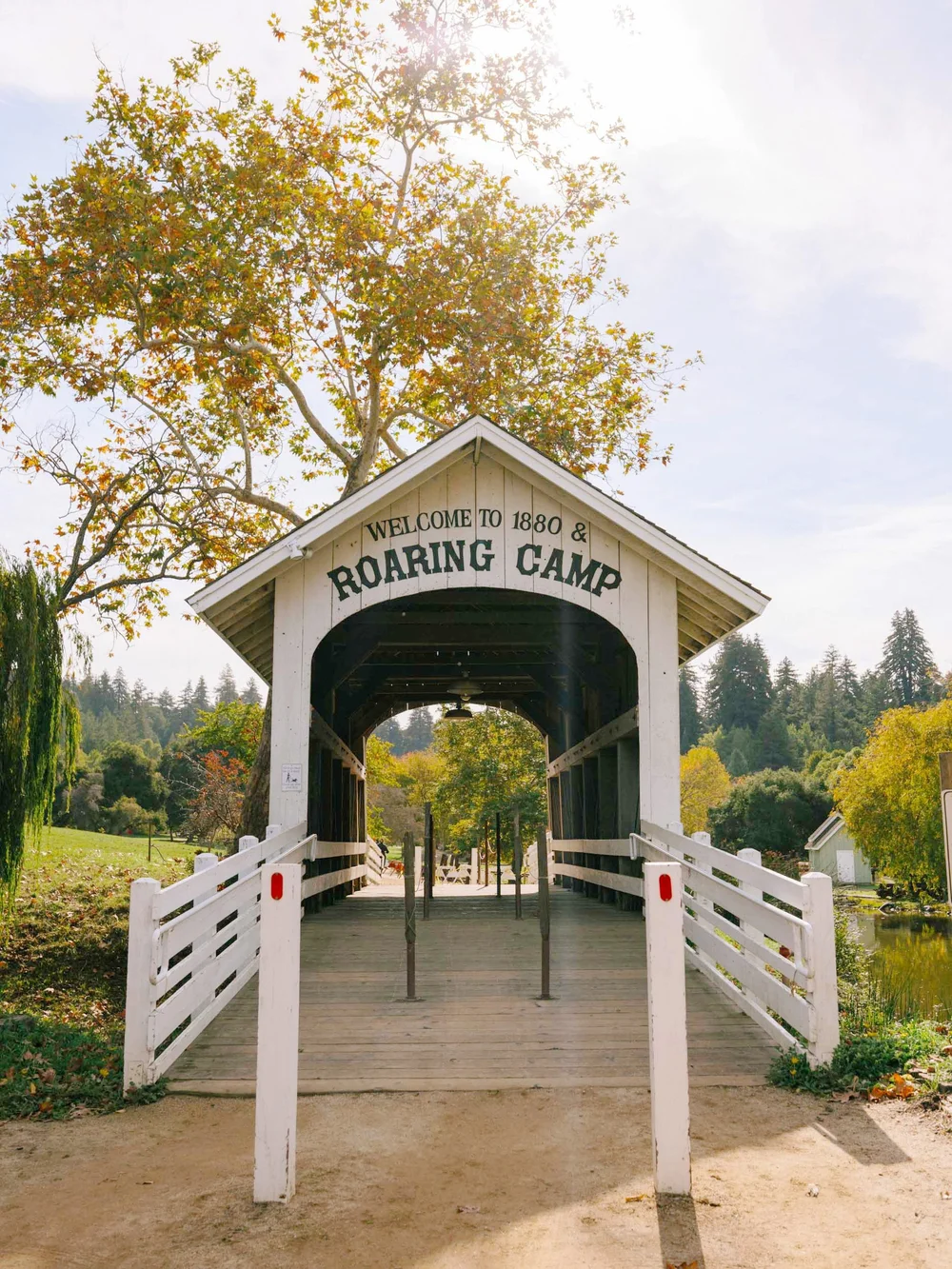 Visiting an 1800s Railroad Camp in California (+ Redwood Trees!)