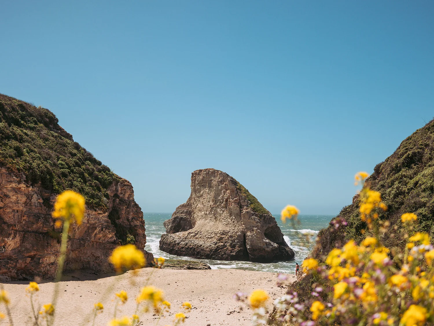 Things to do in Davenport, California