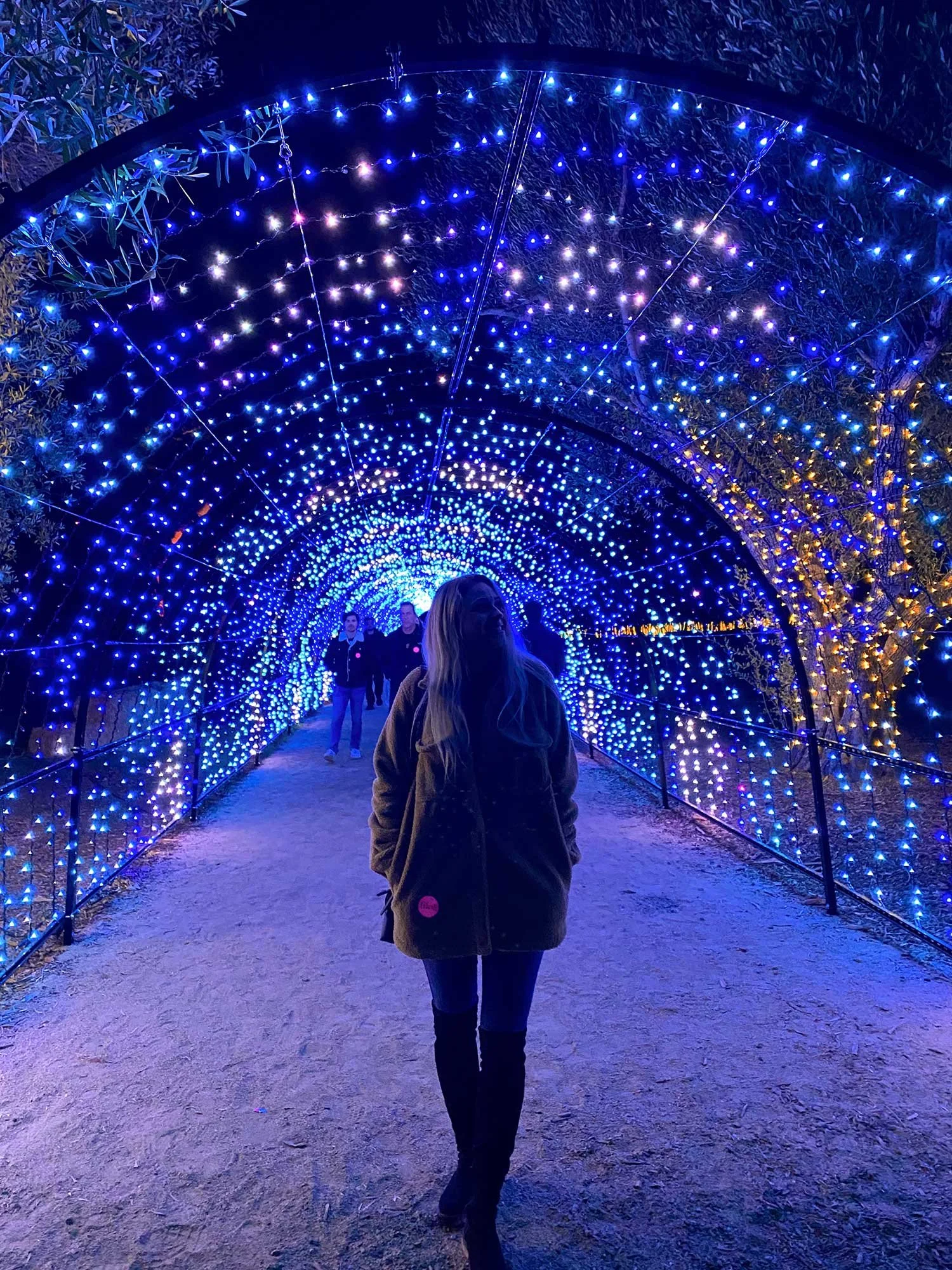 A Guide to Filoli Gardens in the Bay Area