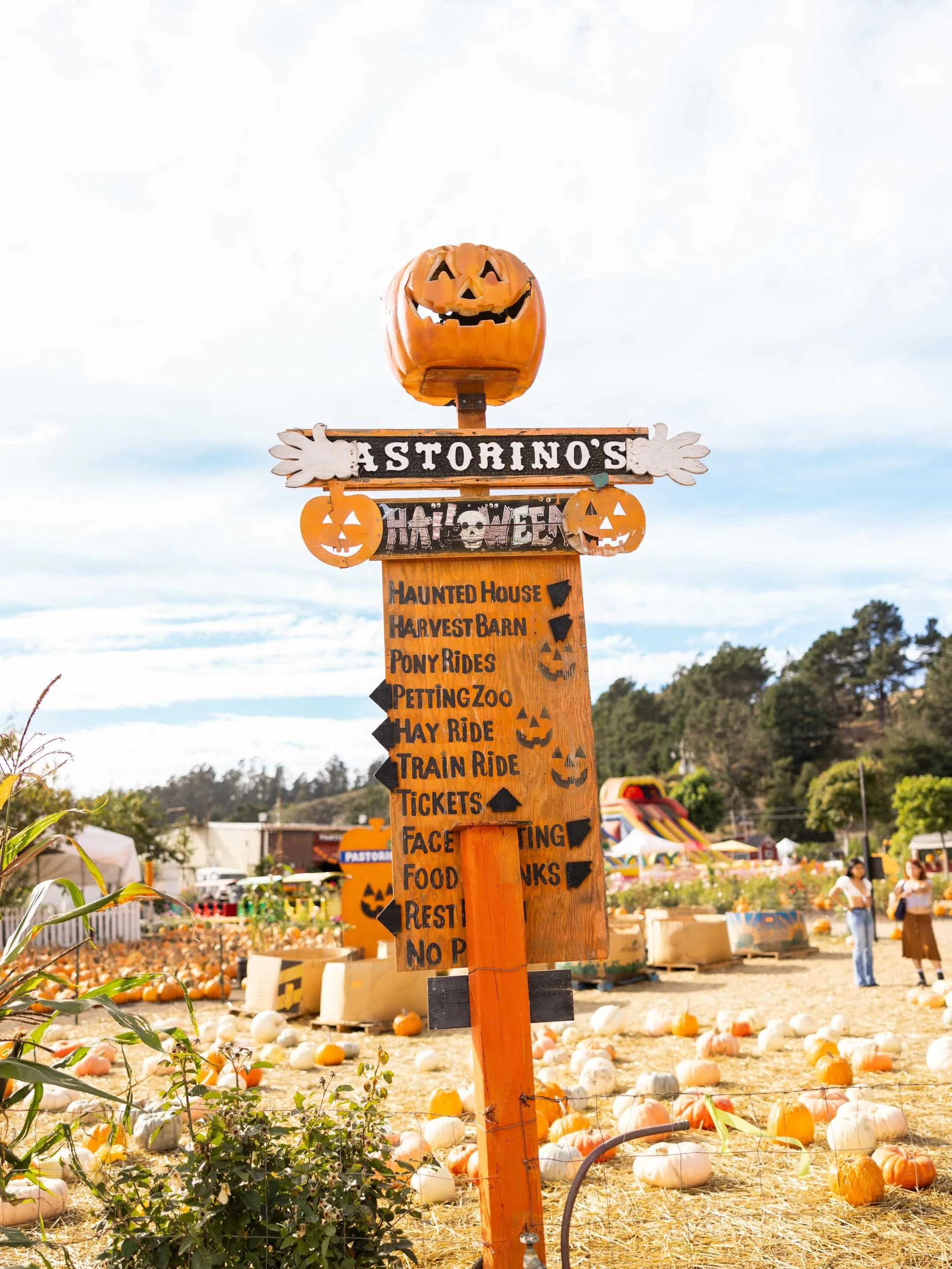Guide to Pumpkin Patches in Half Moon Bay, California