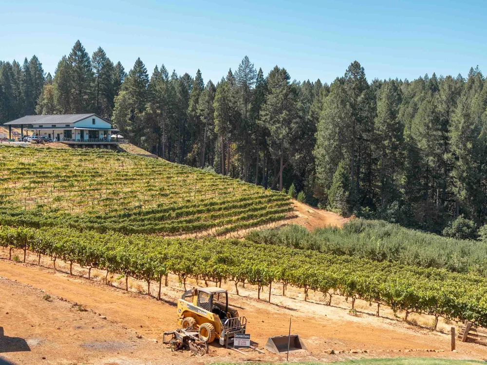 Ultimate Guide to Apple Hill, California