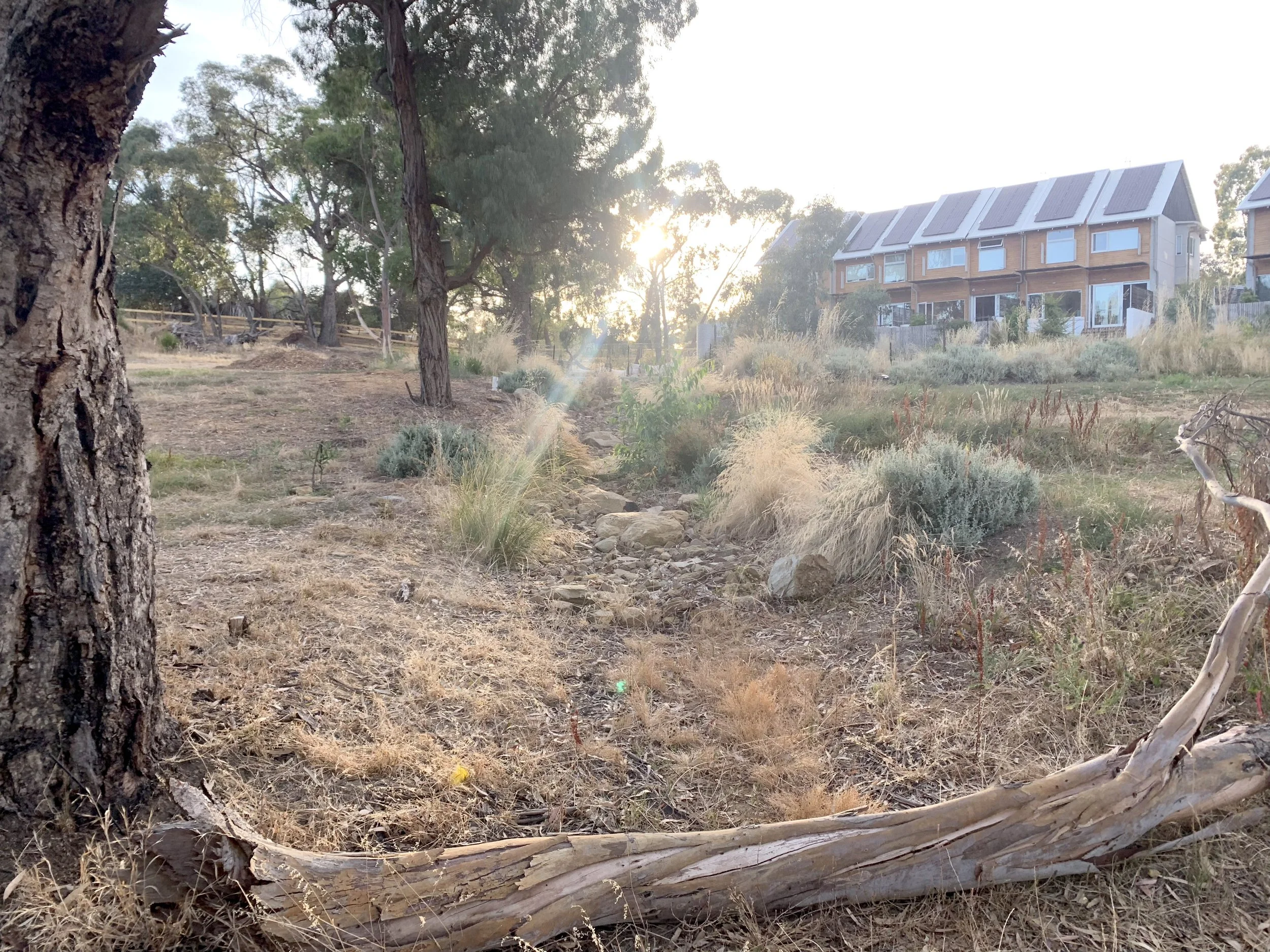 The Paddock Eco Village — BUSH PROJECTS