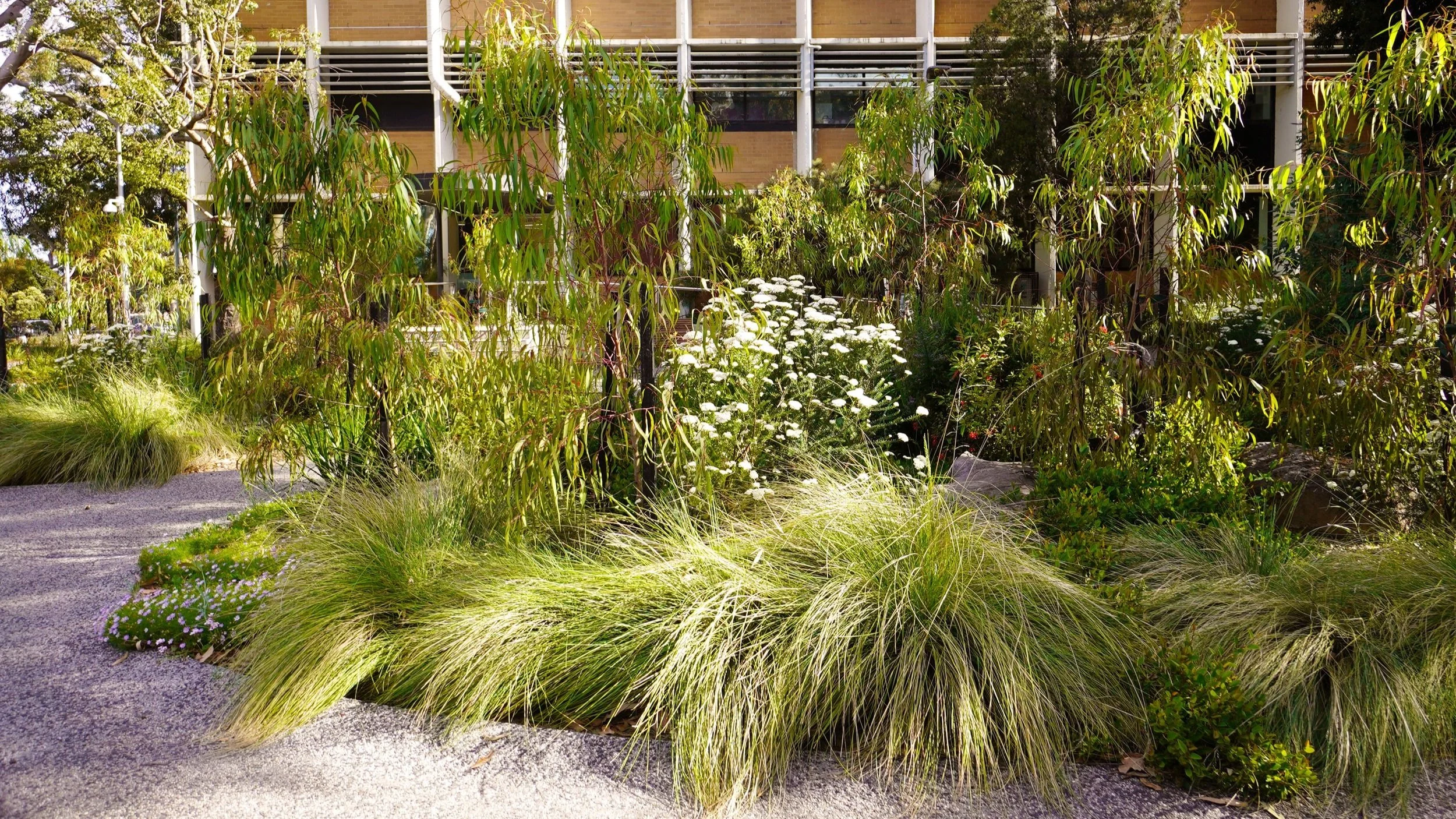 Landscape Designs — BUSH PROJECTS