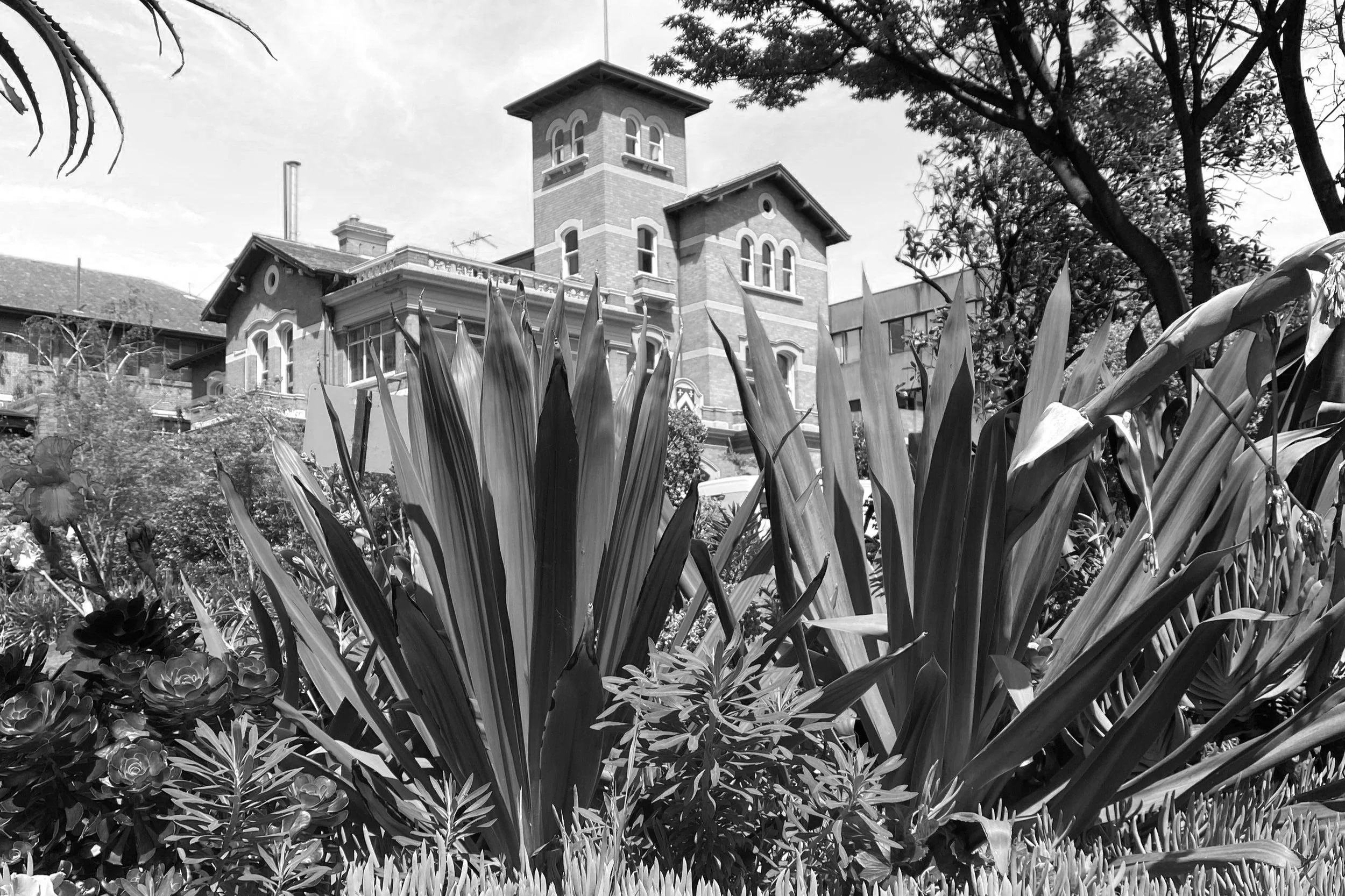 Landscape Designs — BUSH PROJECTS