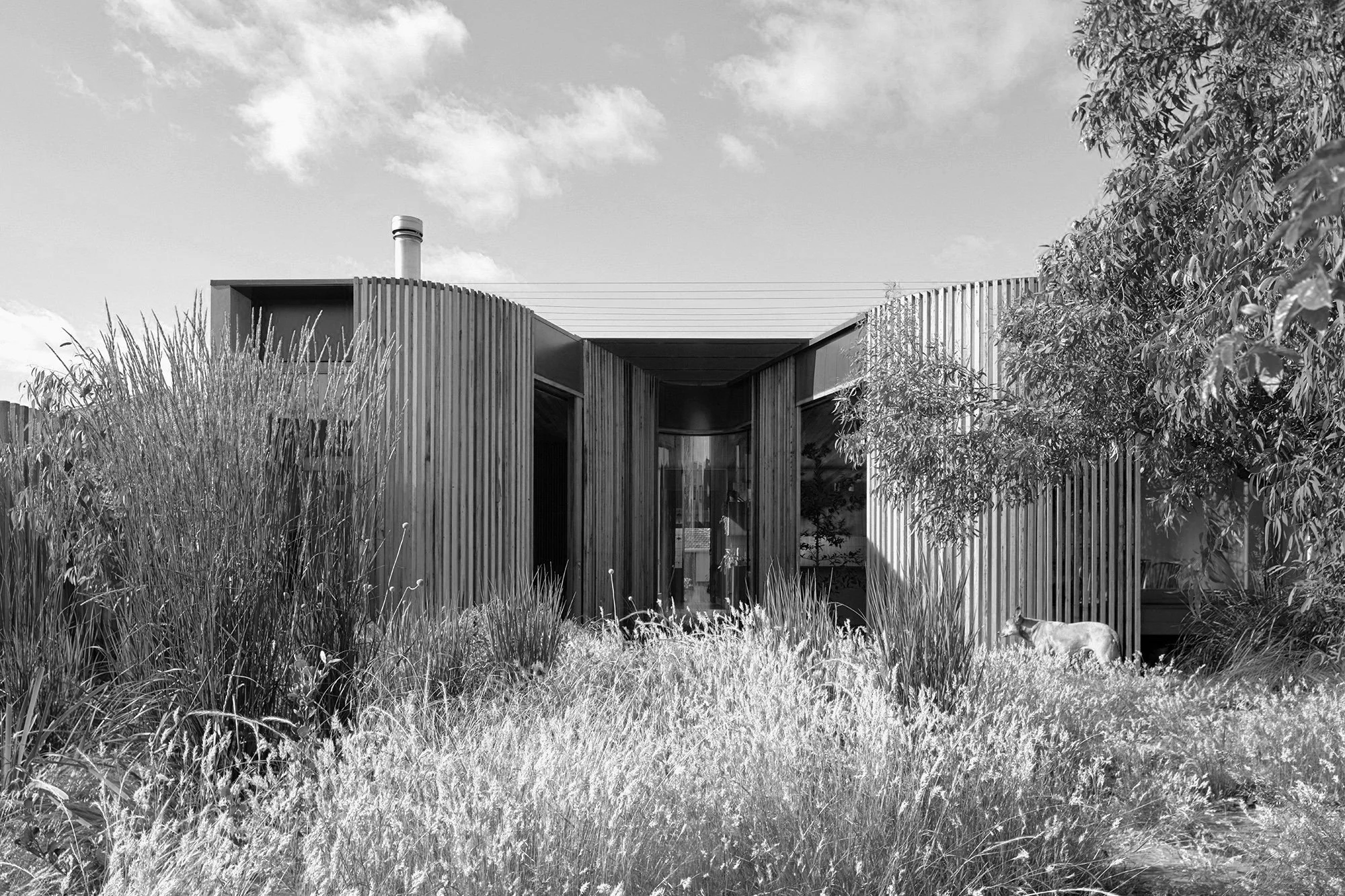 Landscape Designs — BUSH PROJECTS