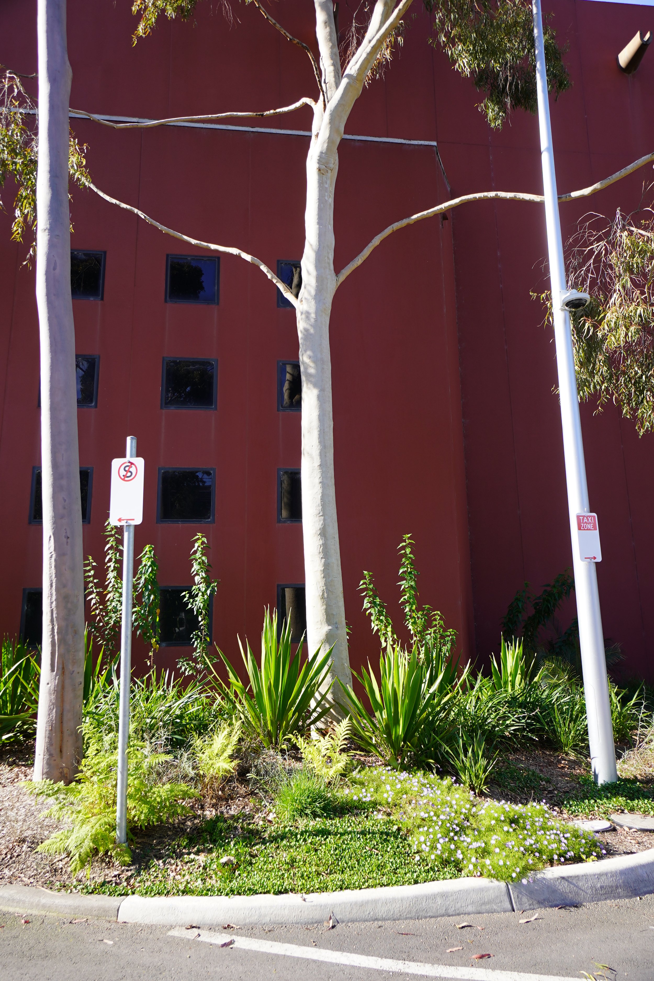 Monash Clayton Scenic Boulevard Pedestrian Entry Redevelopment — BUSH ...