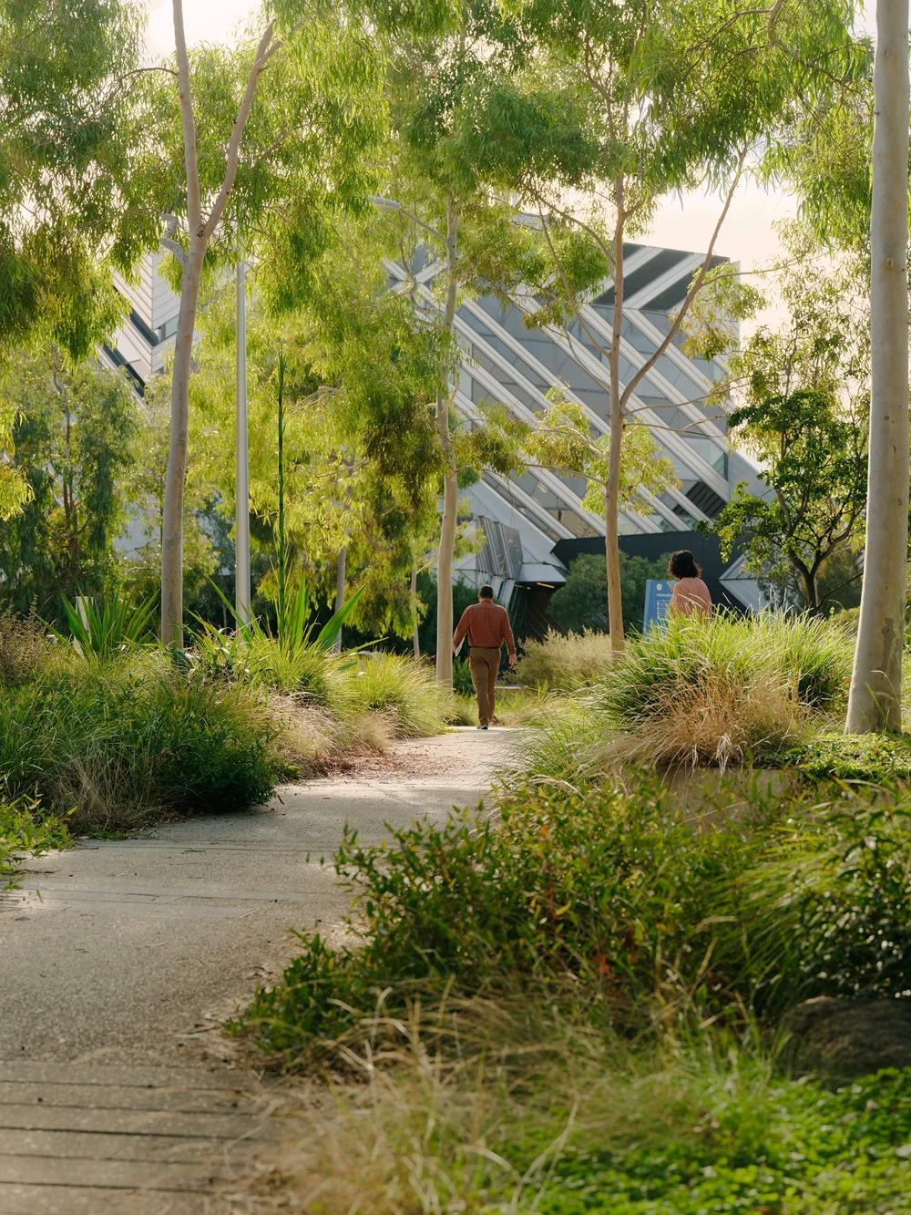 Monash University Maths Teaching and Learning Centre — BUSH PROJECTS