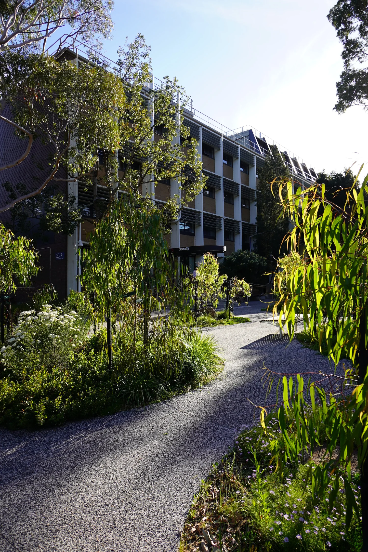 Monash Clayton Scenic Boulevard Pedestrian Entry Redevelopment — BUSH ...