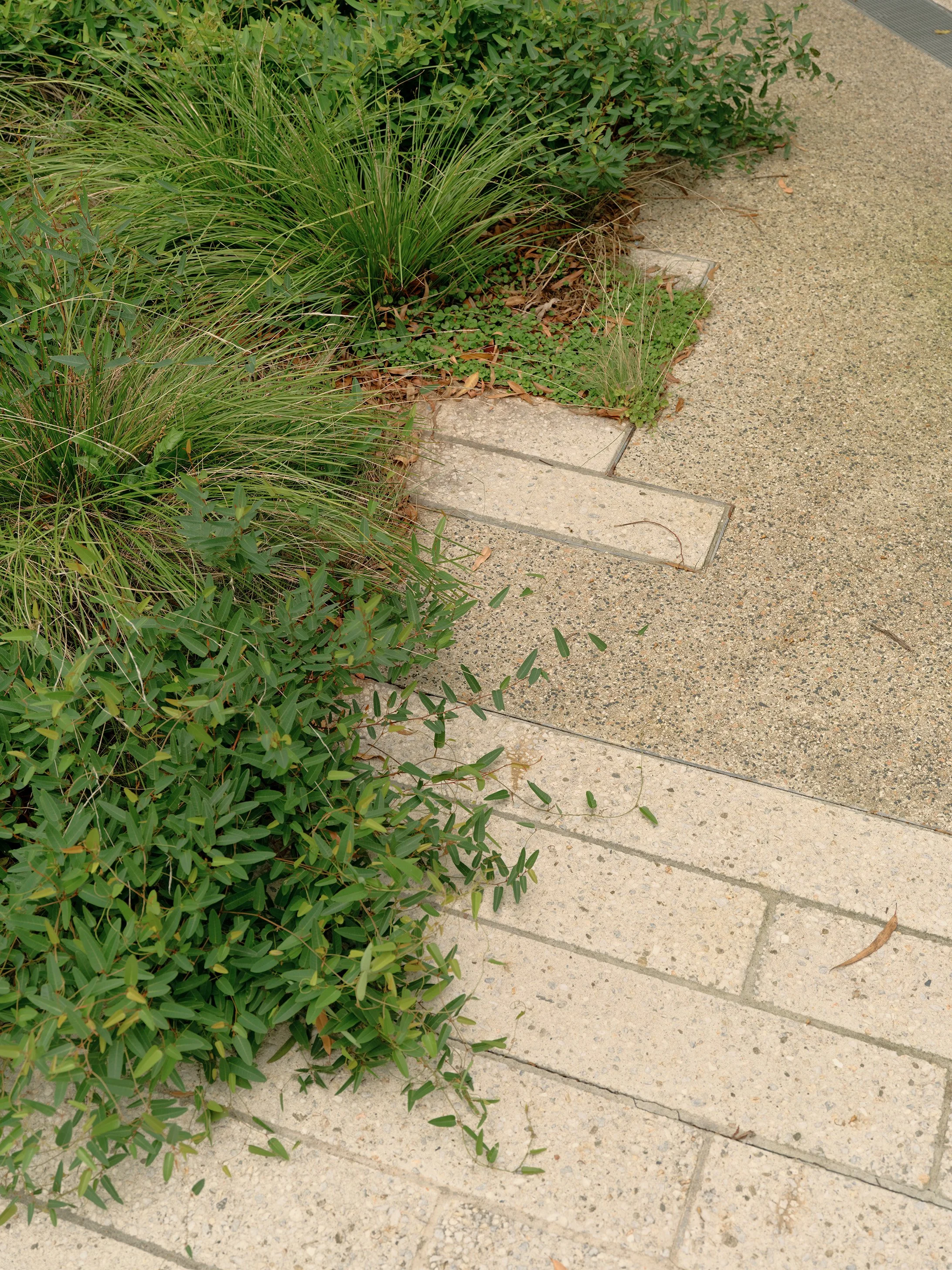 Monash University Maths Teaching and Learning Centre — BUSH PROJECTS