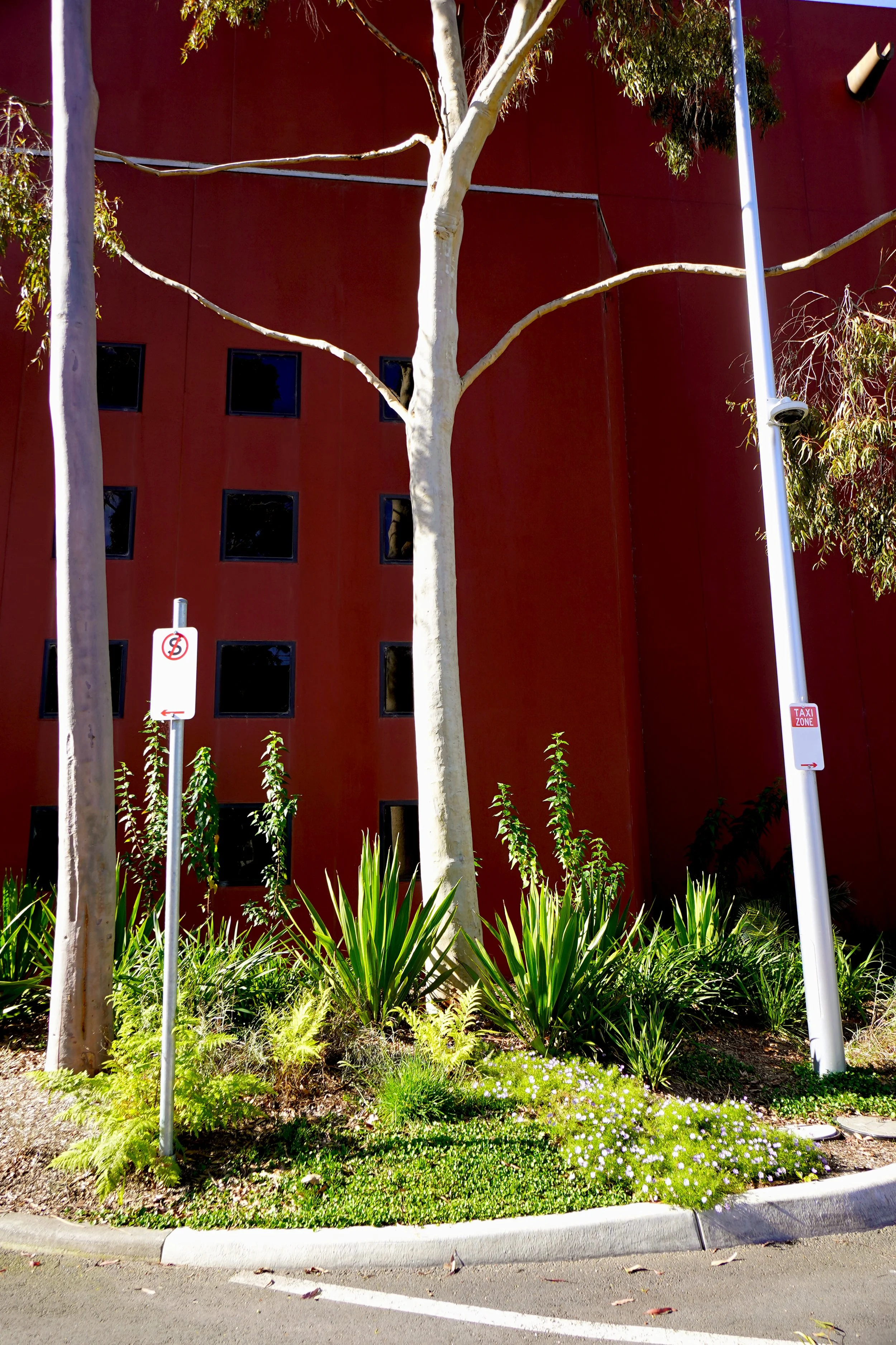 Monash Clayton Scenic Boulevard Pedestrian Entry Redevelopment — BUSH ...