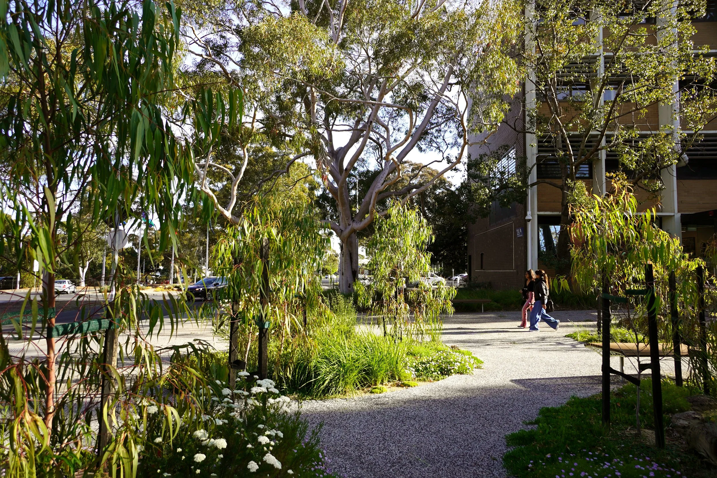 Monash Clayton Scenic Boulevard Pedestrian Entry Redevelopment — BUSH ...