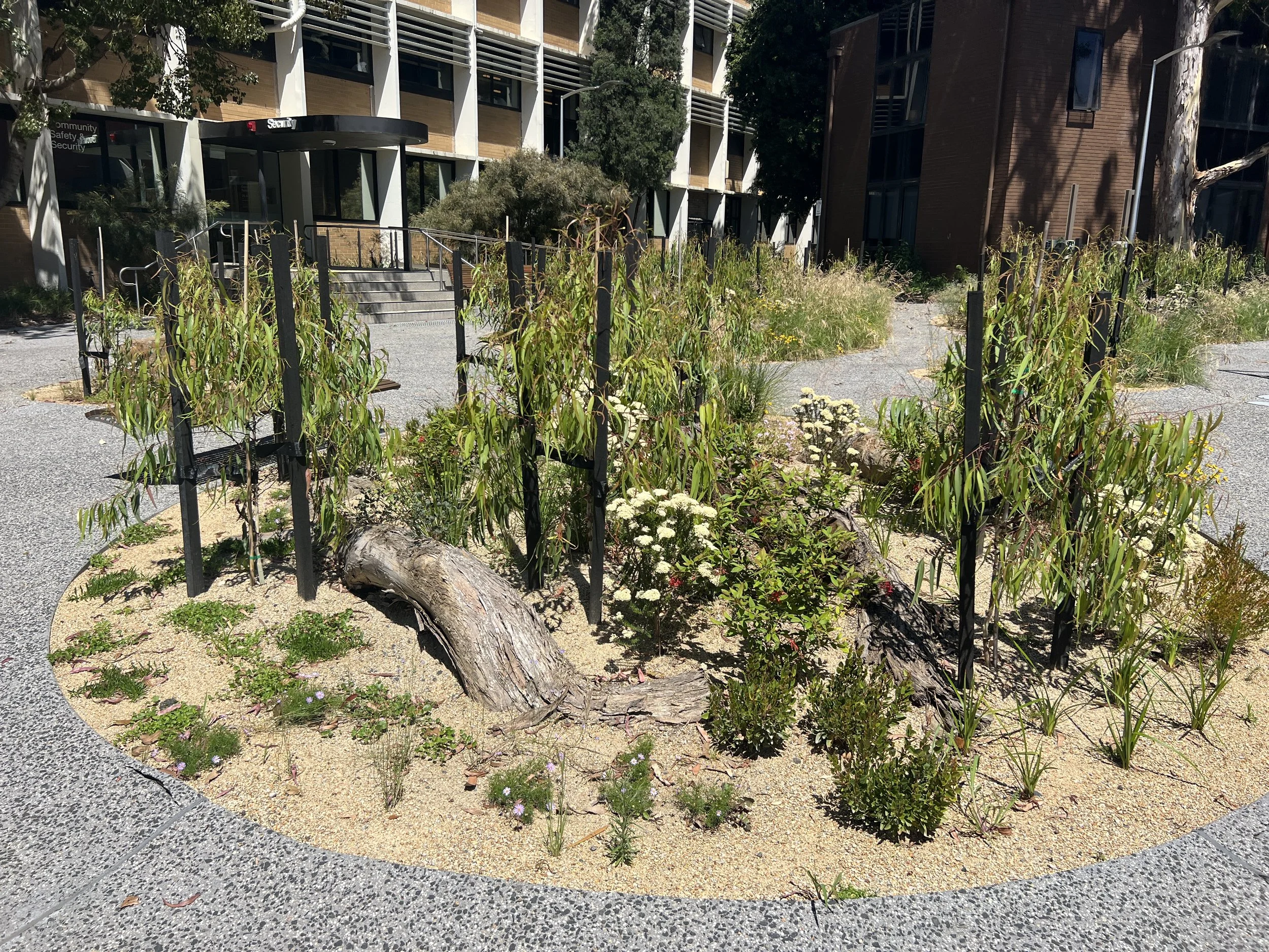 Monash Clayton Scenic Boulevard Pedestrian Entry Redevelopment — BUSH ...