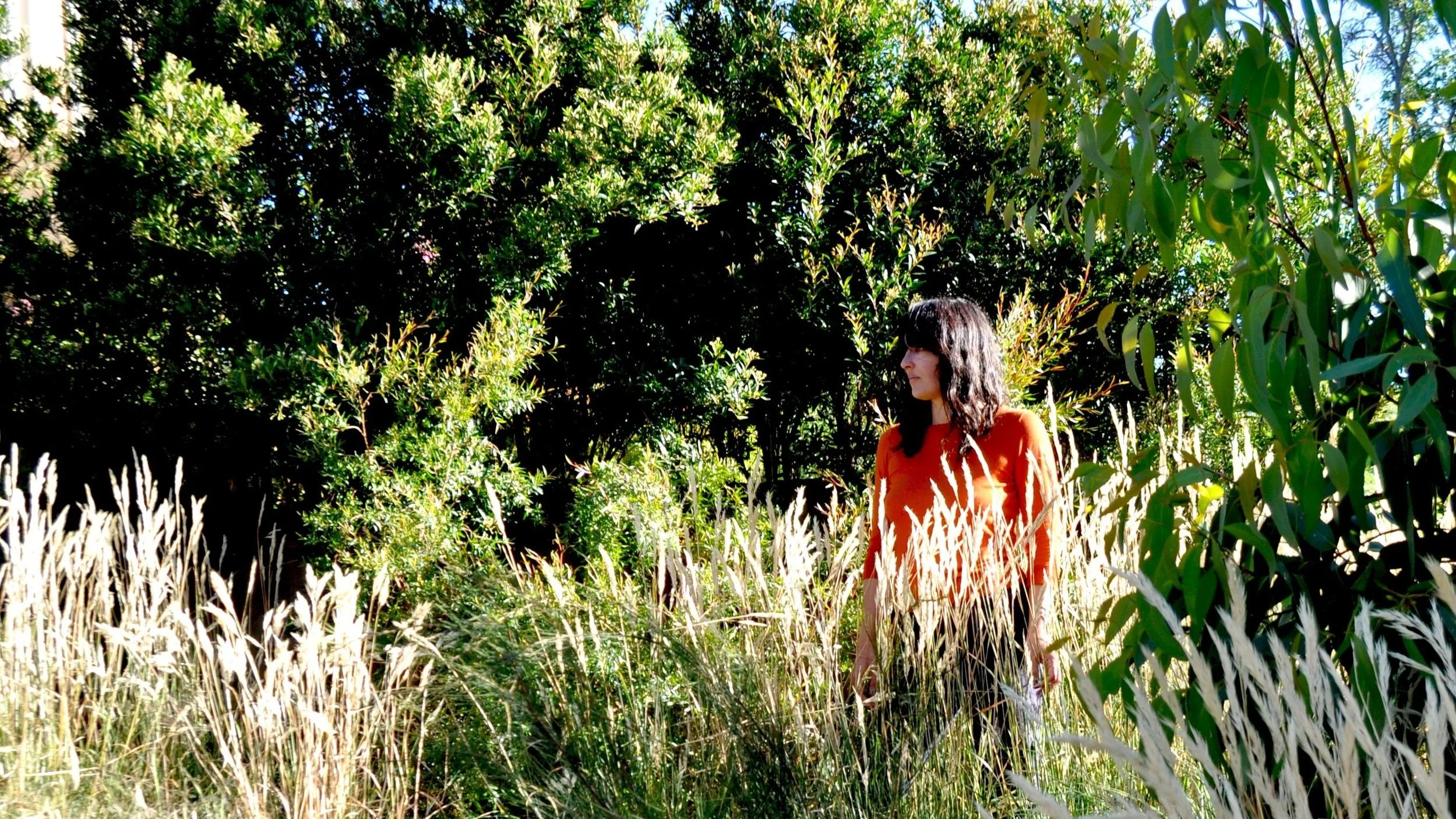 Landscape Designs — BUSH PROJECTS