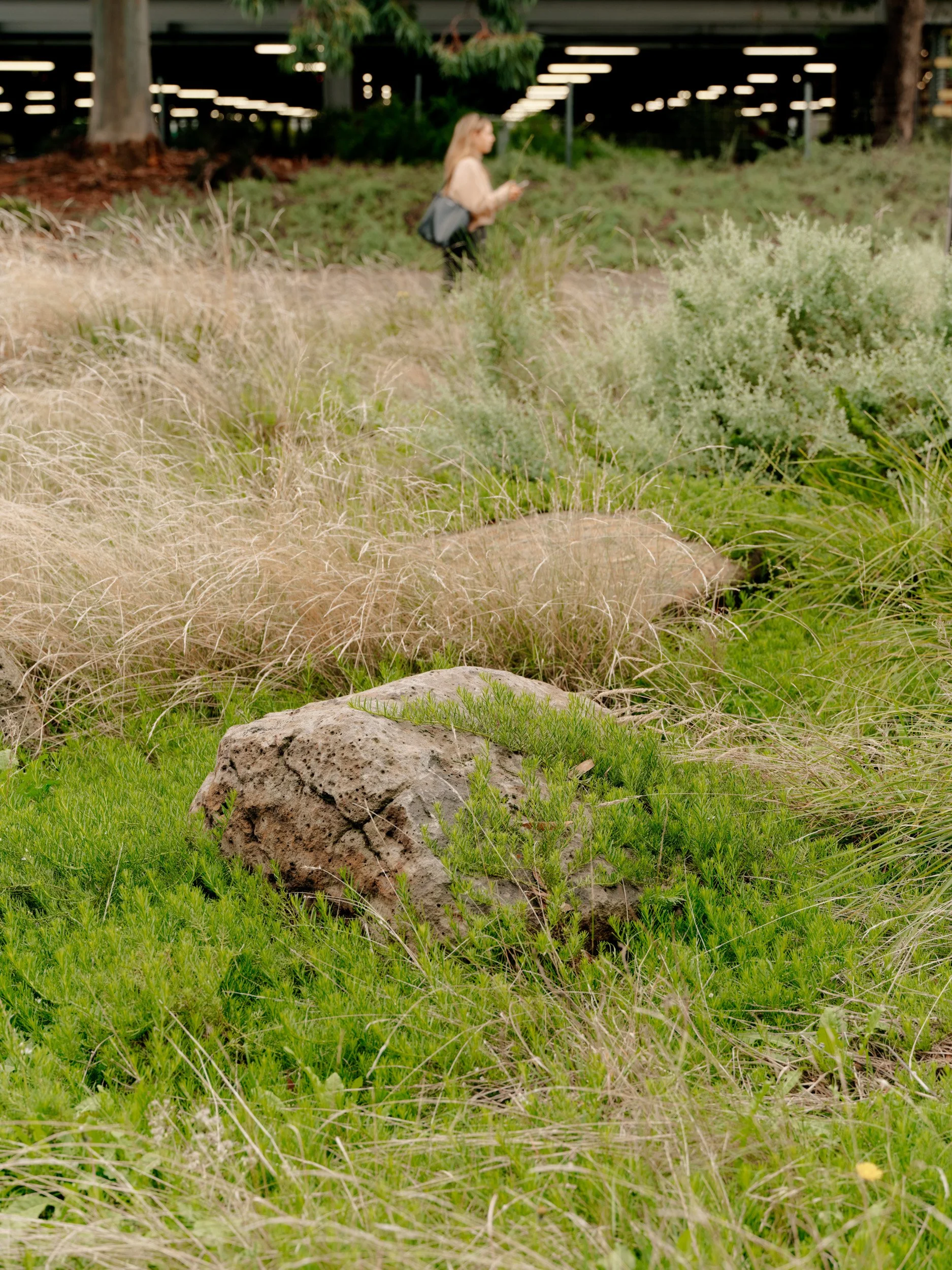 Top landscape architecture firm in Victoria — BUSH PROJECTS