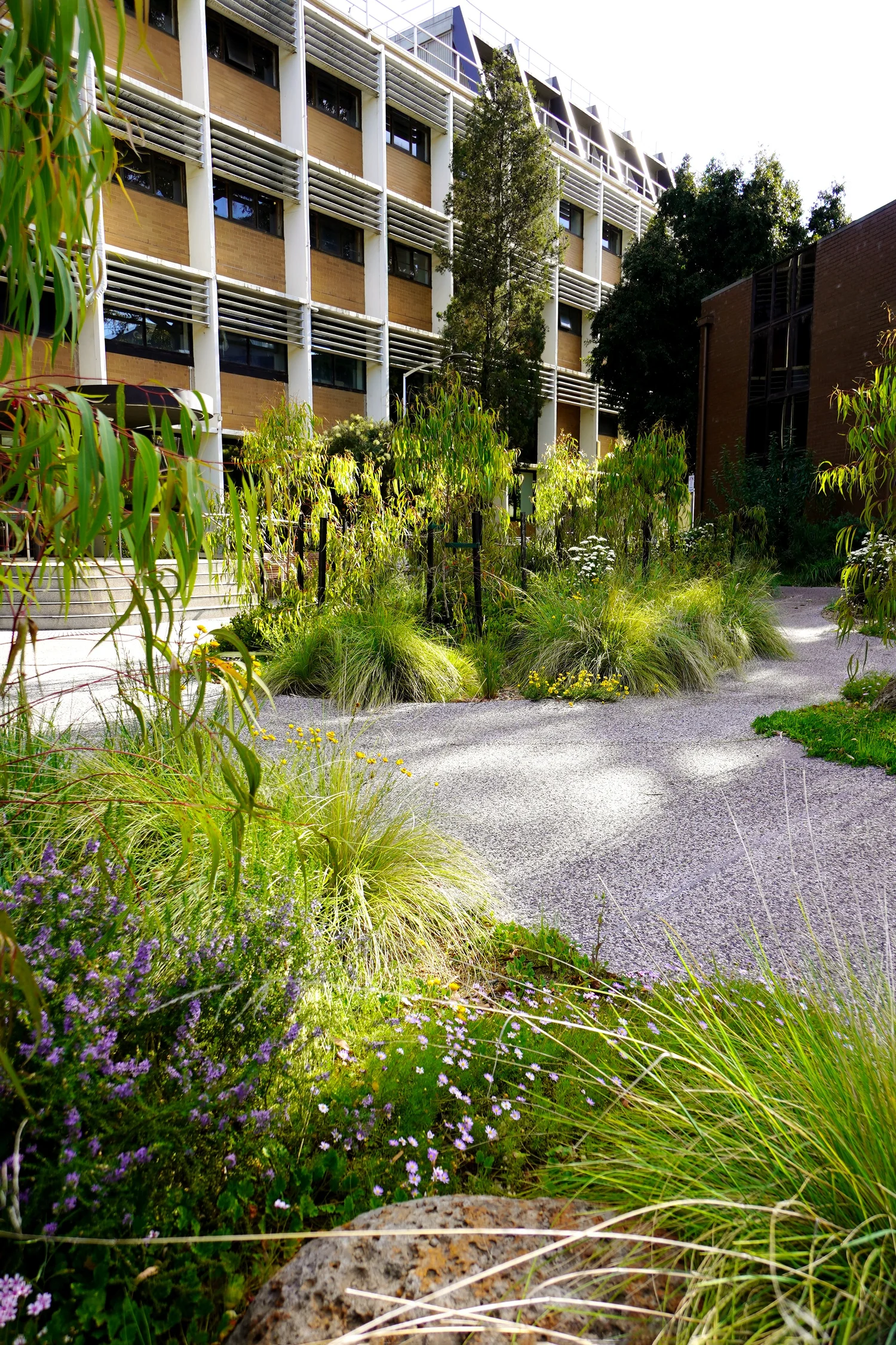 Monash Clayton Scenic Boulevard Pedestrian Entry Redevelopment — BUSH ...