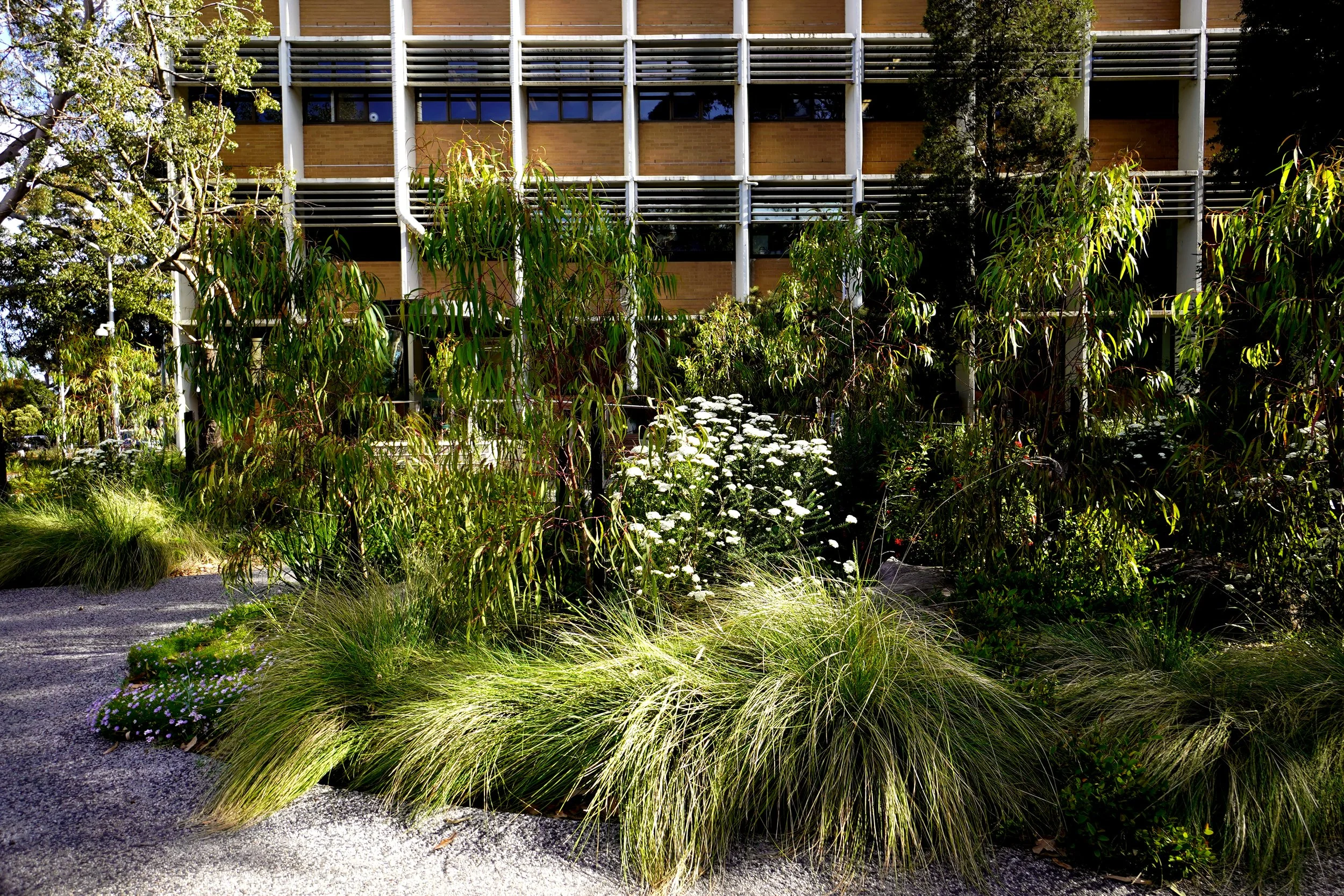 Monash Clayton Scenic Boulevard Pedestrian Entry Redevelopment — BUSH ...