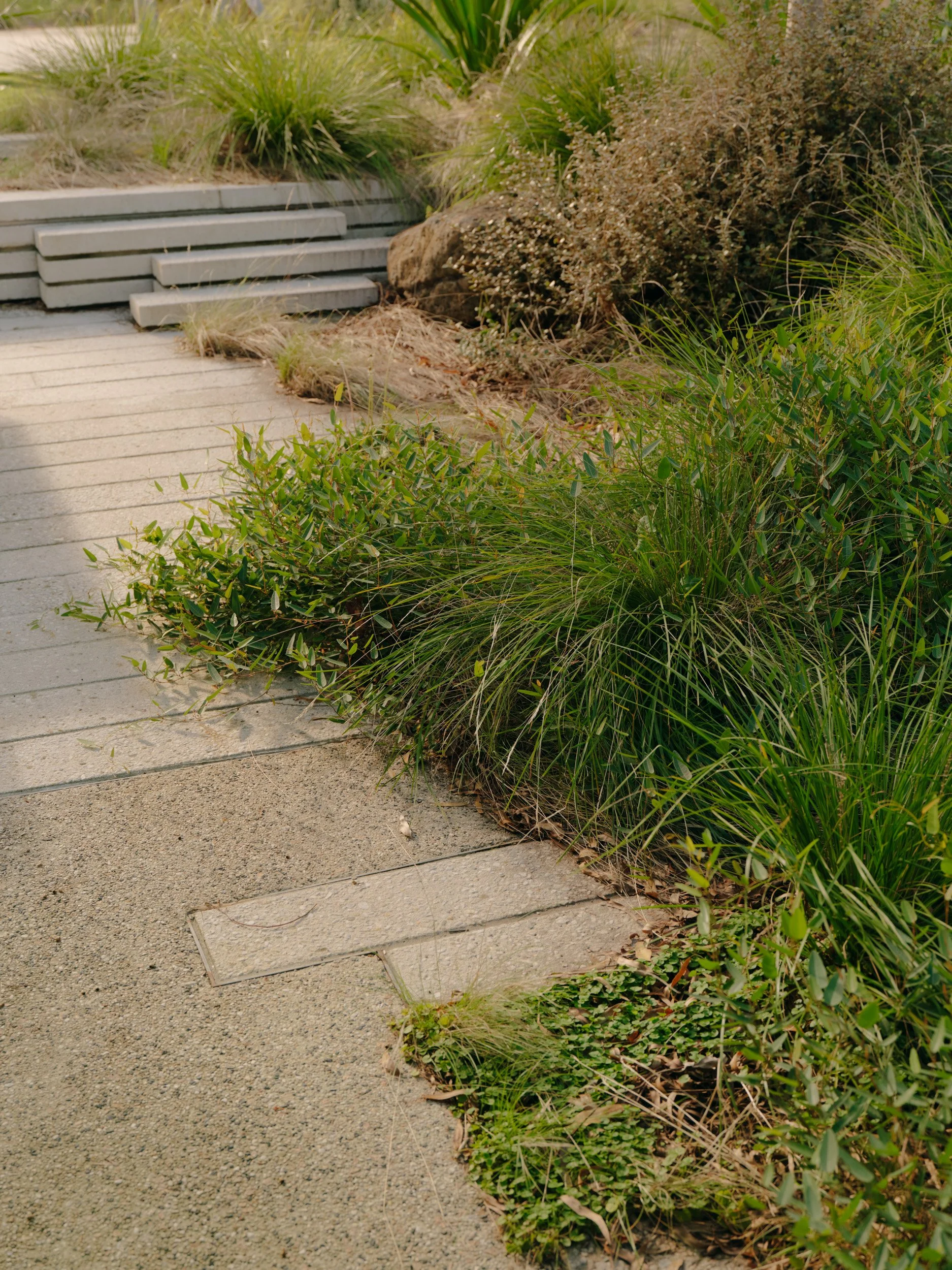 Ready to start your next landscaping project? — BUSH PROJECTS