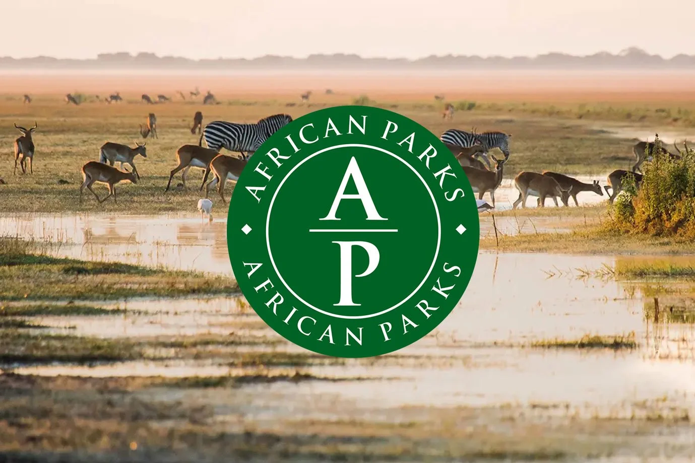 Updates — Rob Walton Foundation