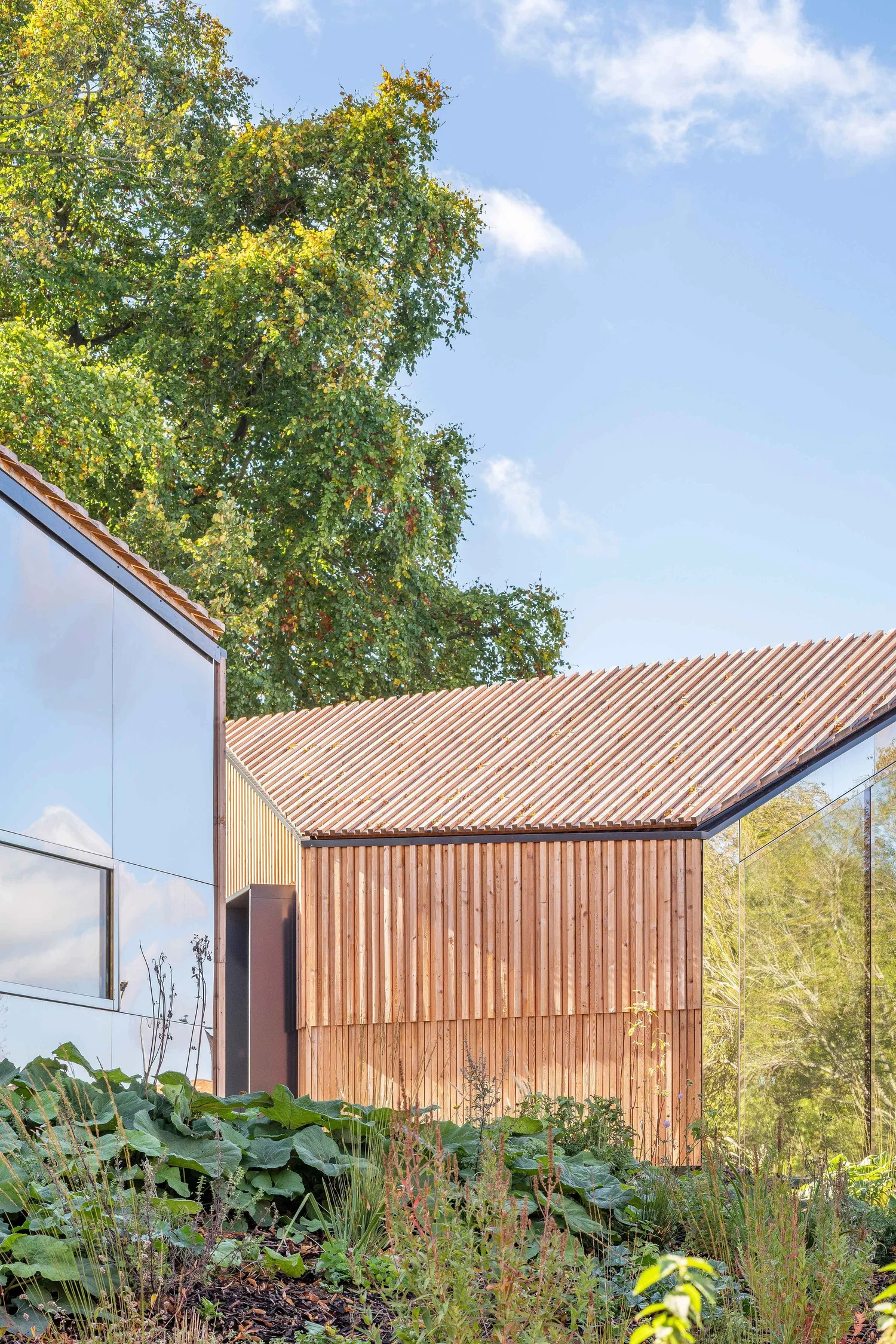 Harwell Hide | Experience Tranquil Workspaces — Bell Phillips