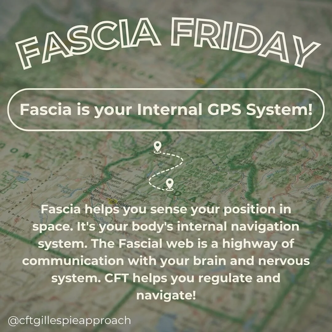 Craniosacral Fascial Therapy (CFT) Training — Craniosacral Fascial Therapy