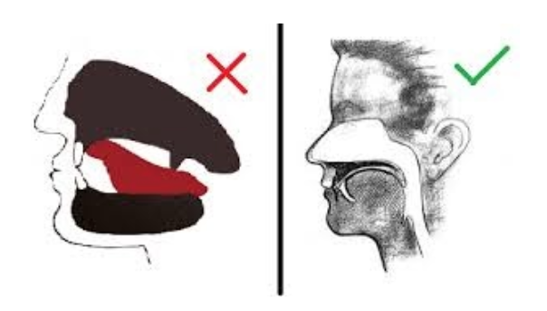 Myofunctional Therapy — The Gillespie Approach Cft