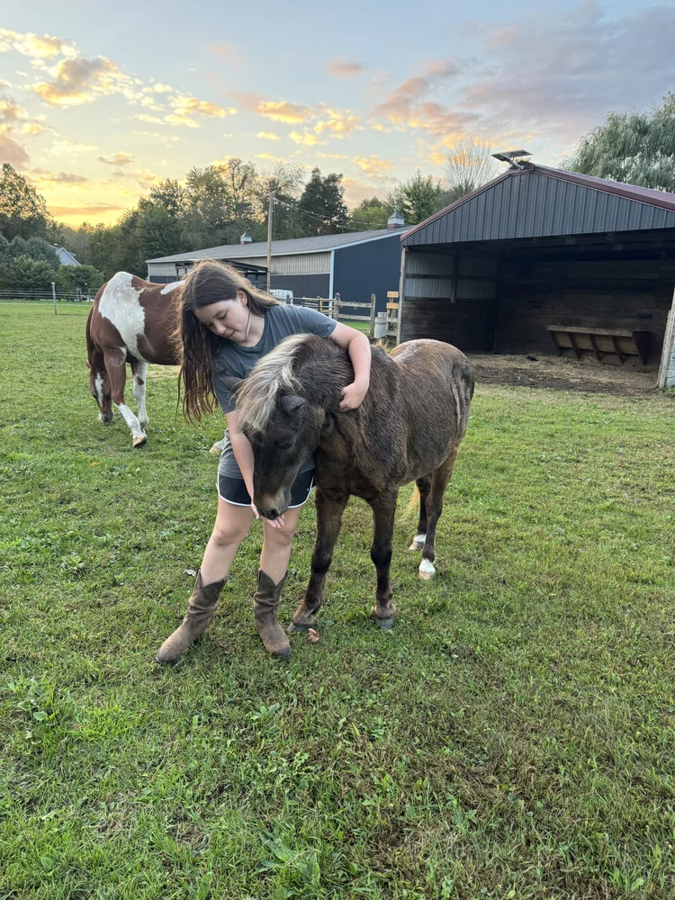 Mission — Storm Breaker Stables