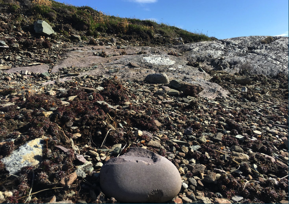 Copper Mines — Discover Iveragh