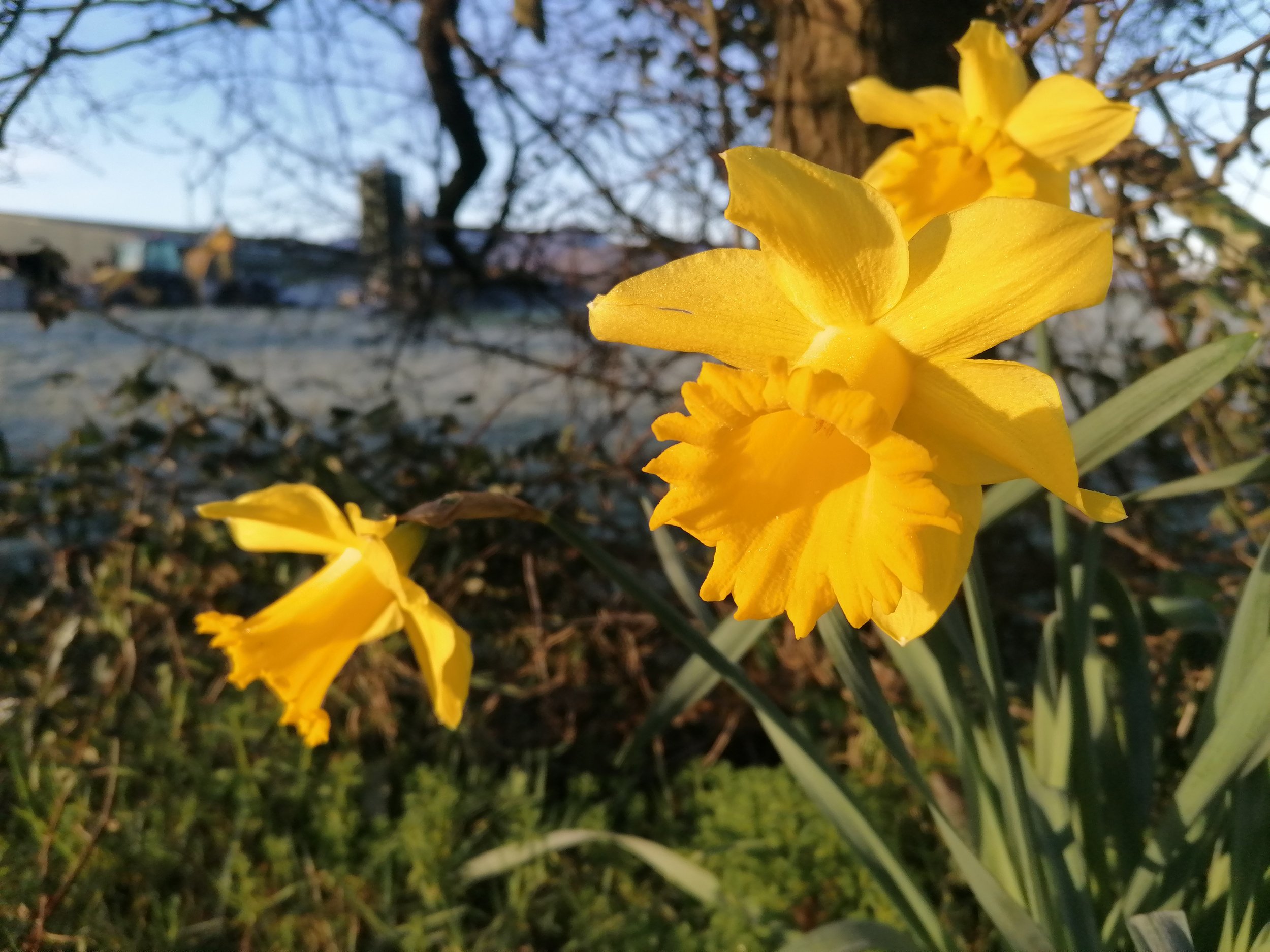 Discover Iveragh