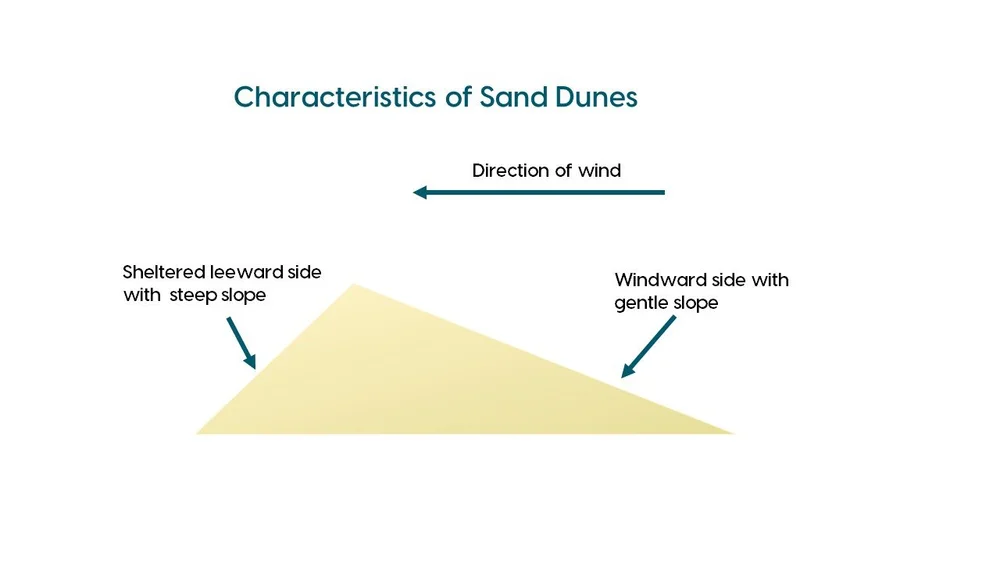 Sand Dunes — Discover Iveragh