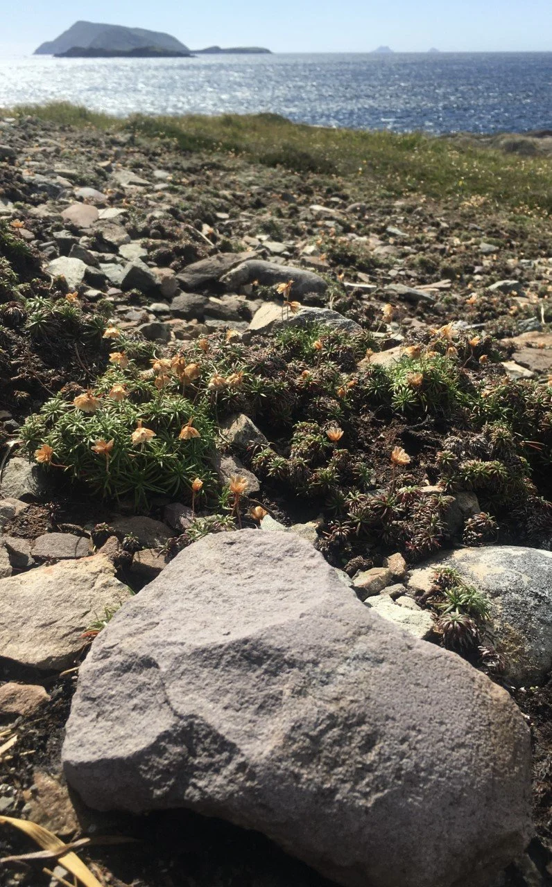 How Copper was Mined — Discover Iveragh