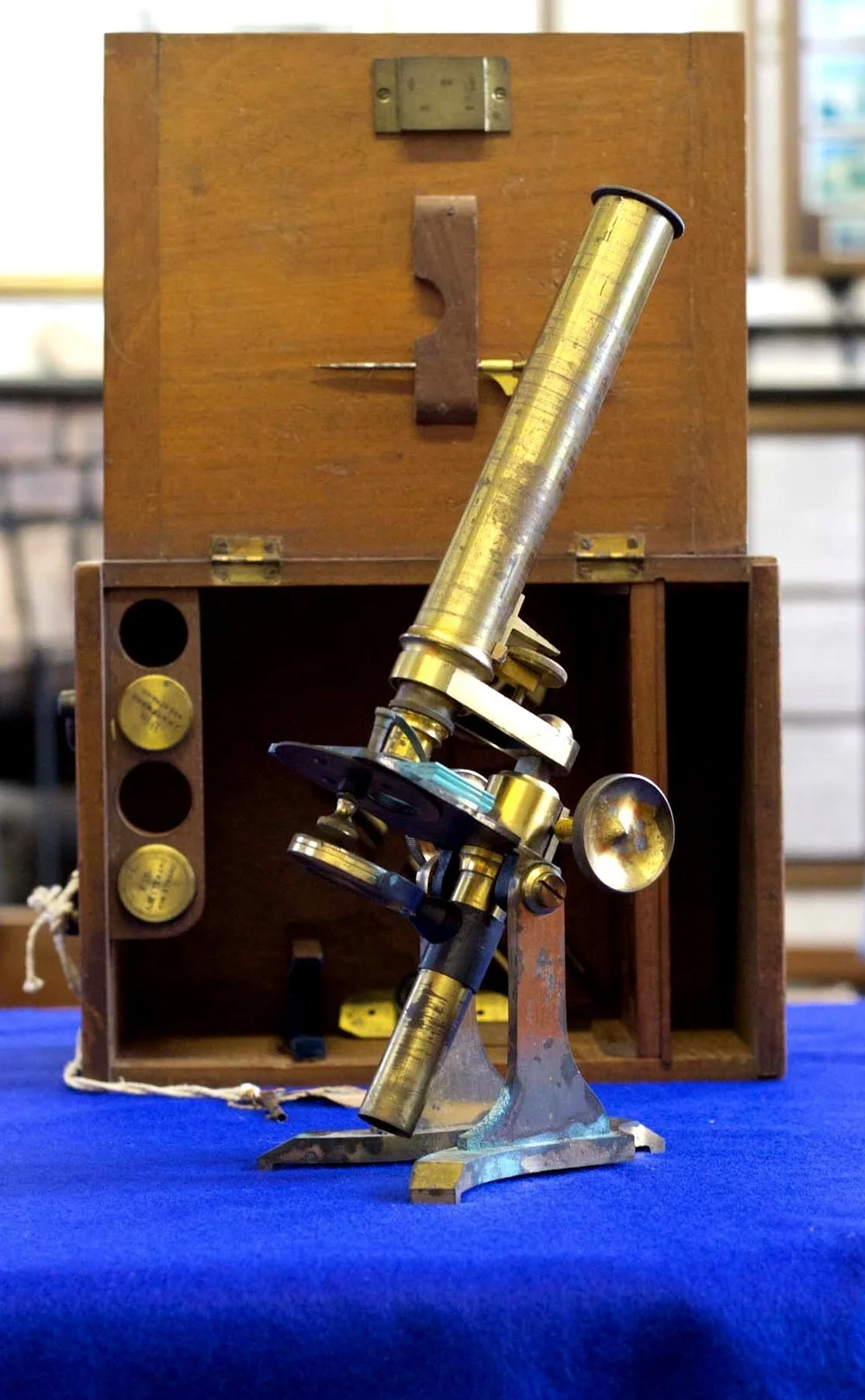 Decoding the Science of Plankton — Discover Iveragh