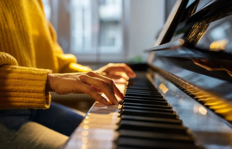 Insight Reports — Musicians' Census