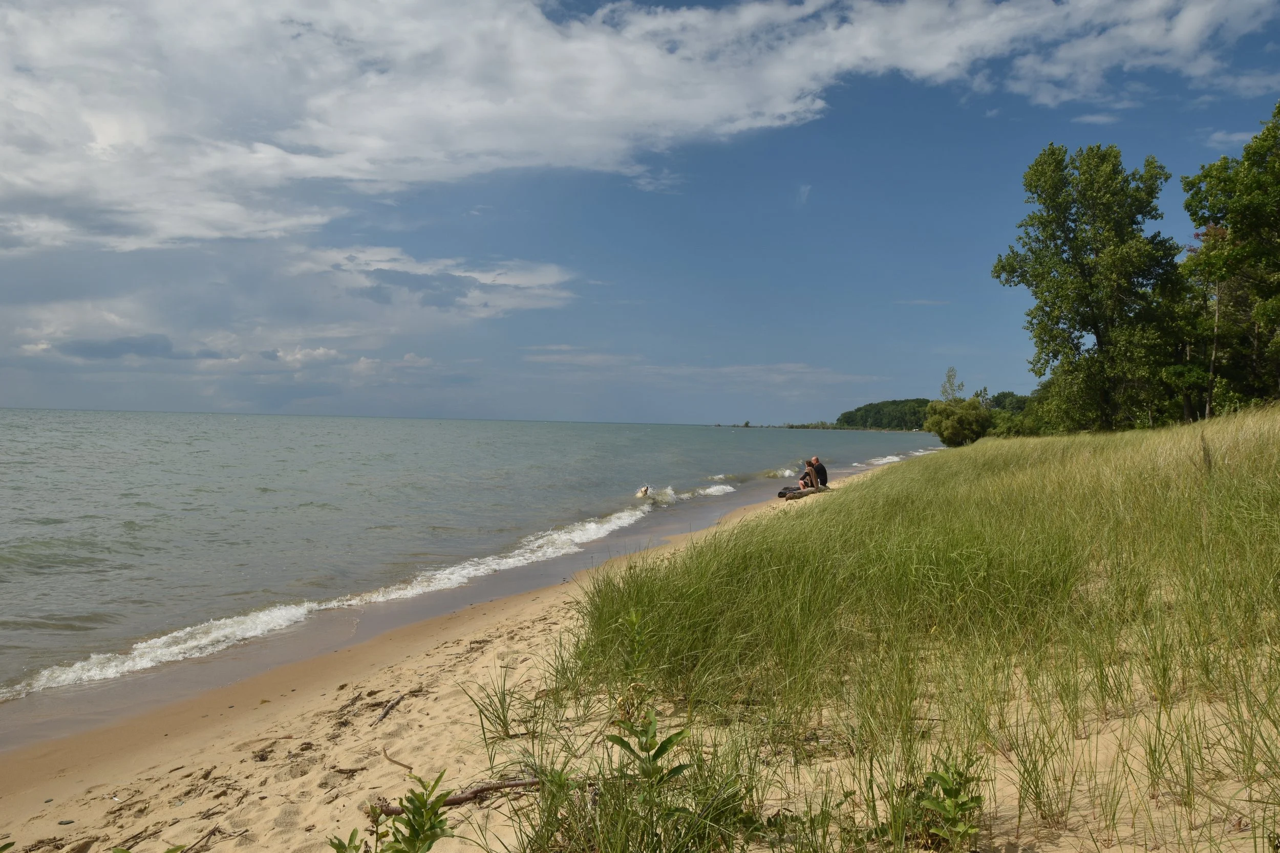 Jenks Roadside Park — Port Austin Outdoor Adventure