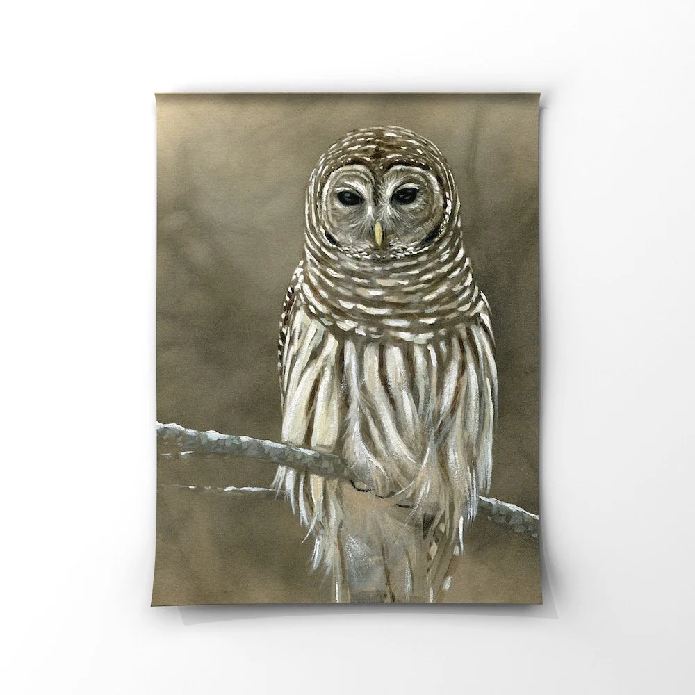 Owl Pictures To Print