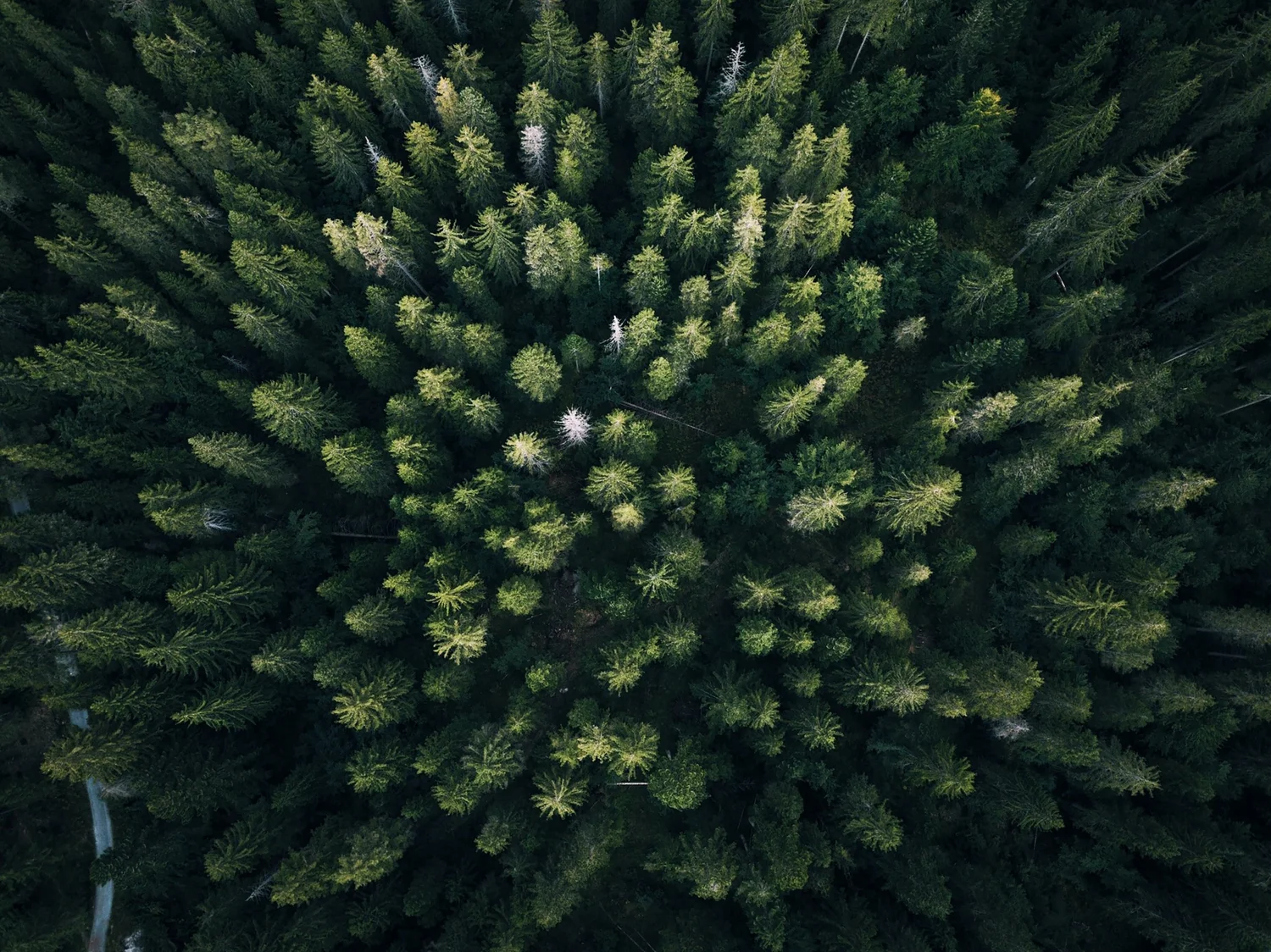 Alberta Environmental Consultants- Poseidon Environmental