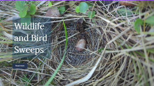Alberta Biologists Conduct Wildlife and Bird Sweeps in Hinton, Alberta ...