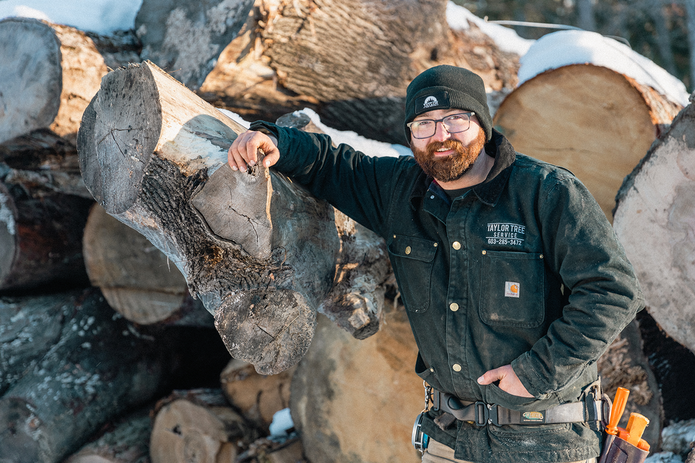 Tree Services in NH & Southern Maine | Taylor Tree Service