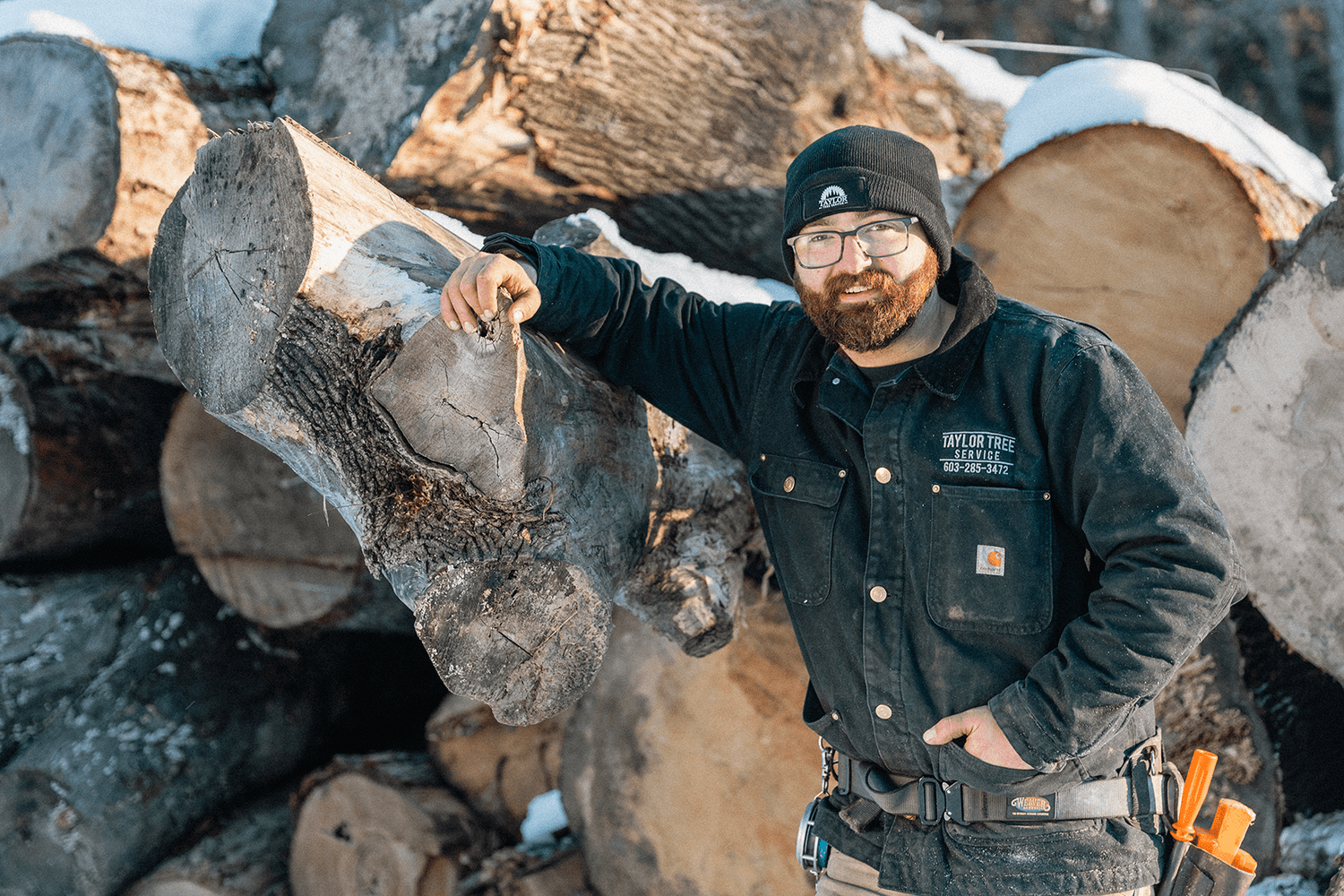 Taylor Tree Service New Hampshire - Affordable Tree Service